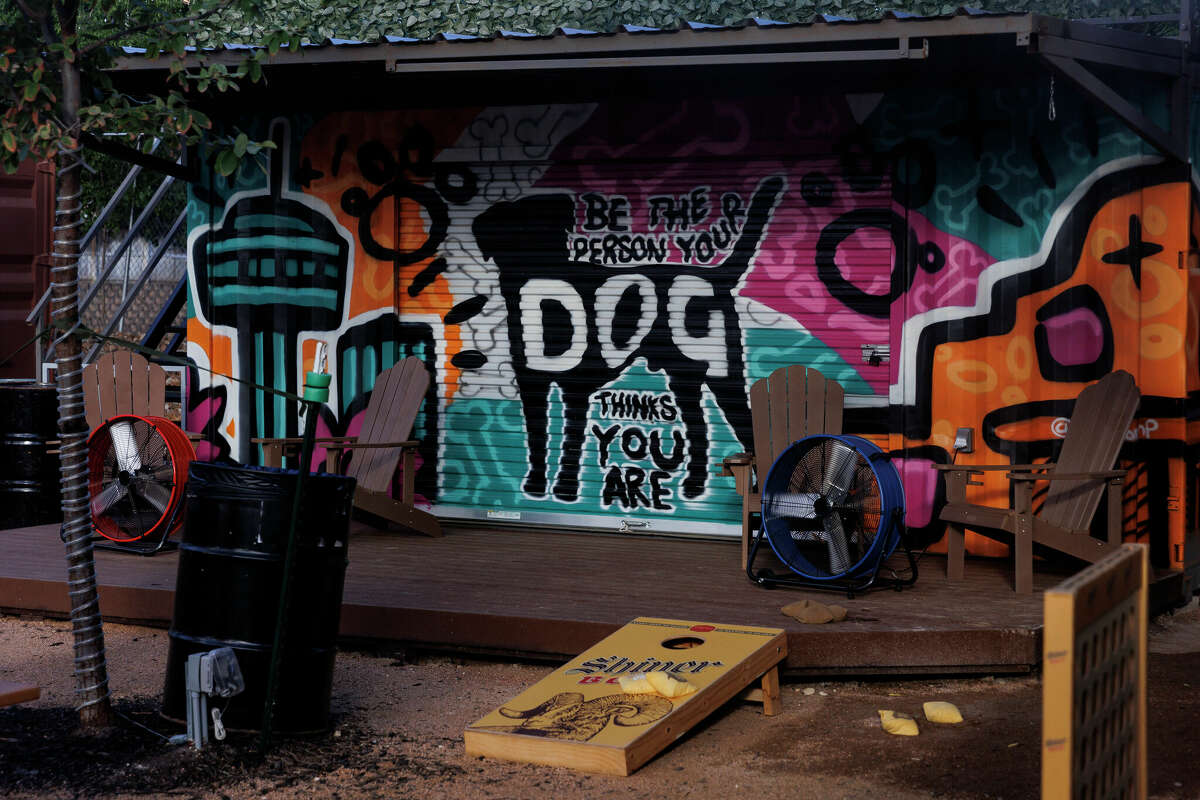 Texas Dog Co designed with humans, pets in mind