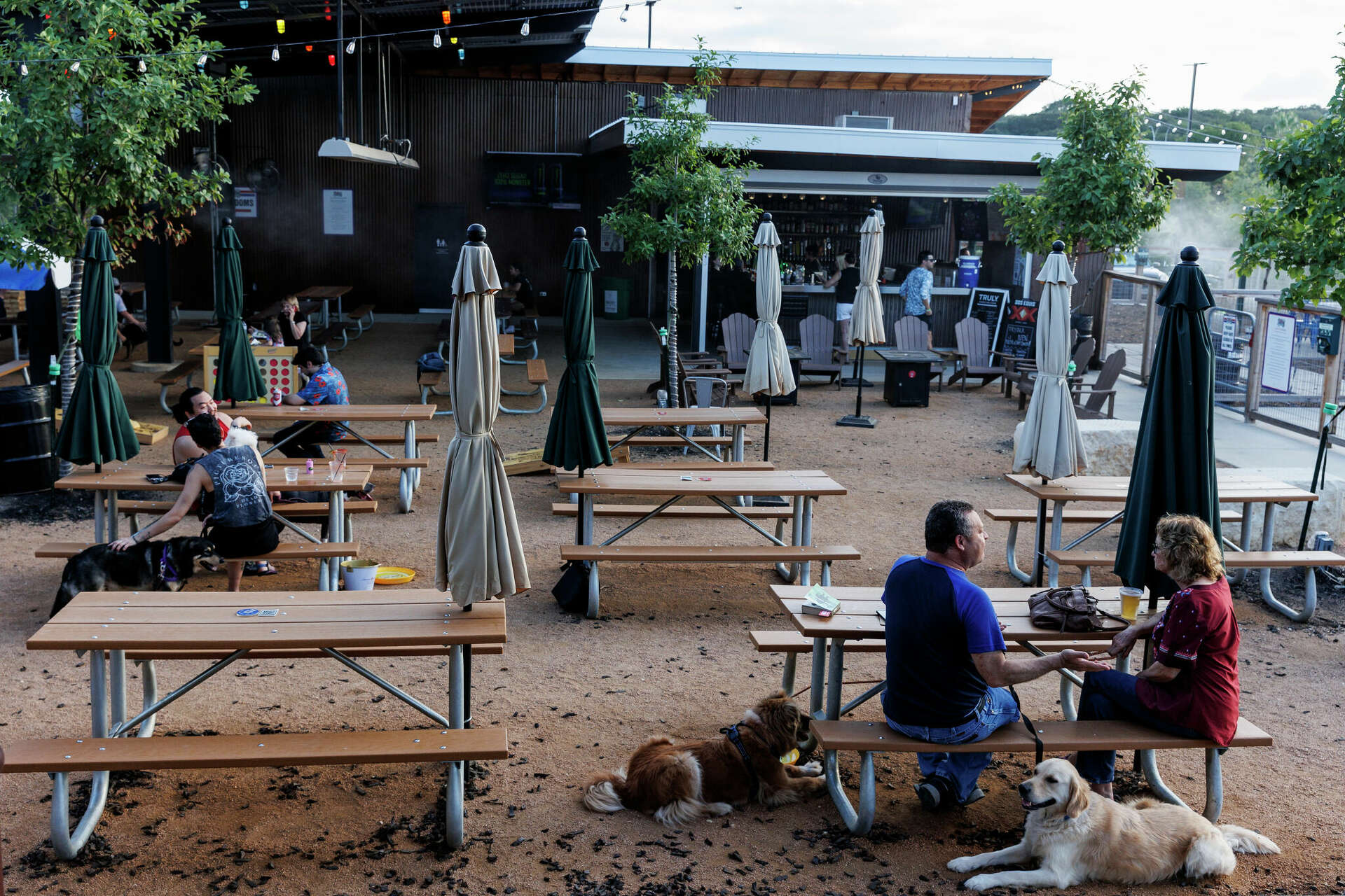 Texas Dog Co designed with humans, pets in mind