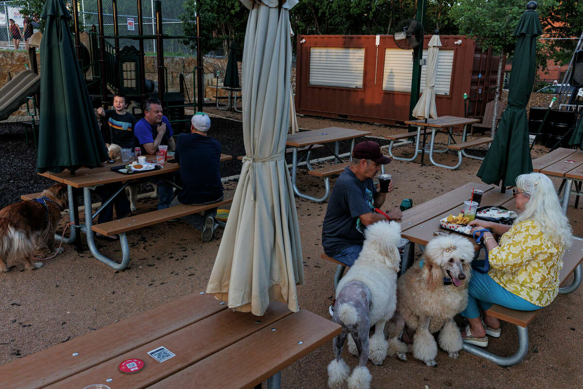 Texas Dog Co designed with humans, pets in mind