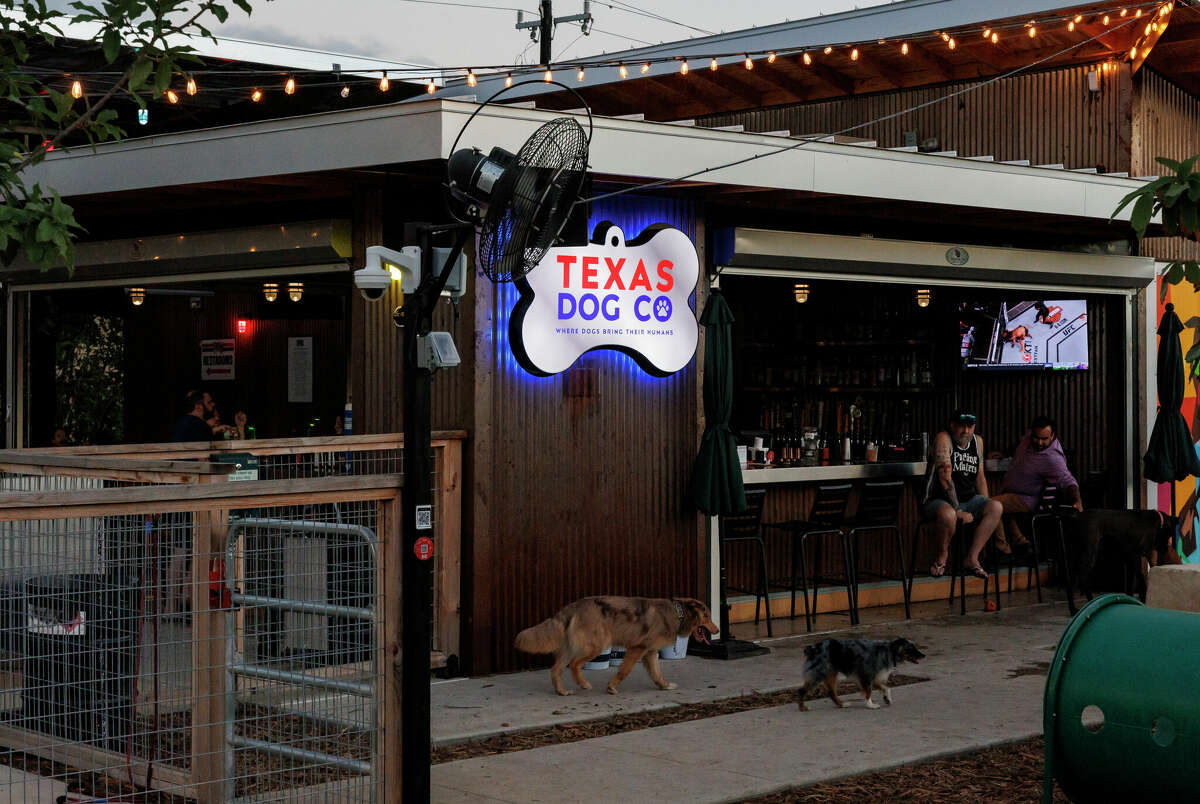 Texas Dog Co designed with humans, pets in mind