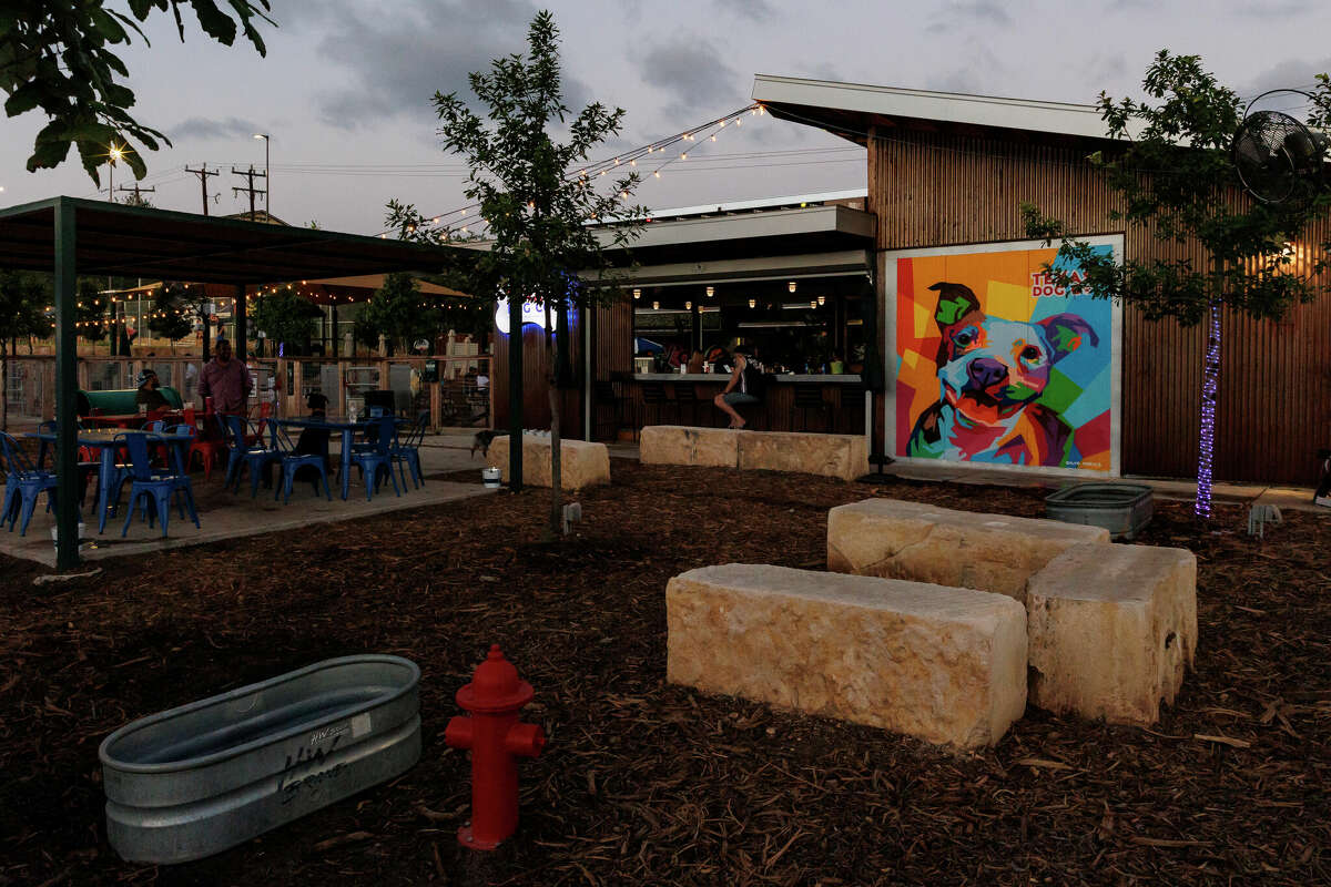 Texas Dog Co designed with humans, pets in mind