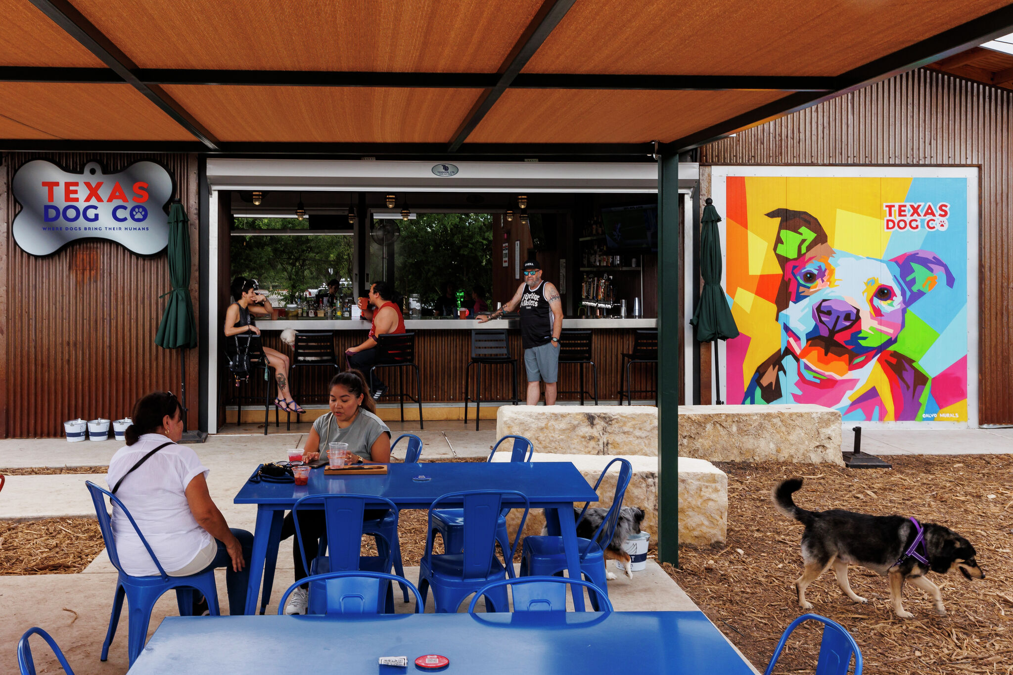 Texas Dog Co designed with humans, pets in mind