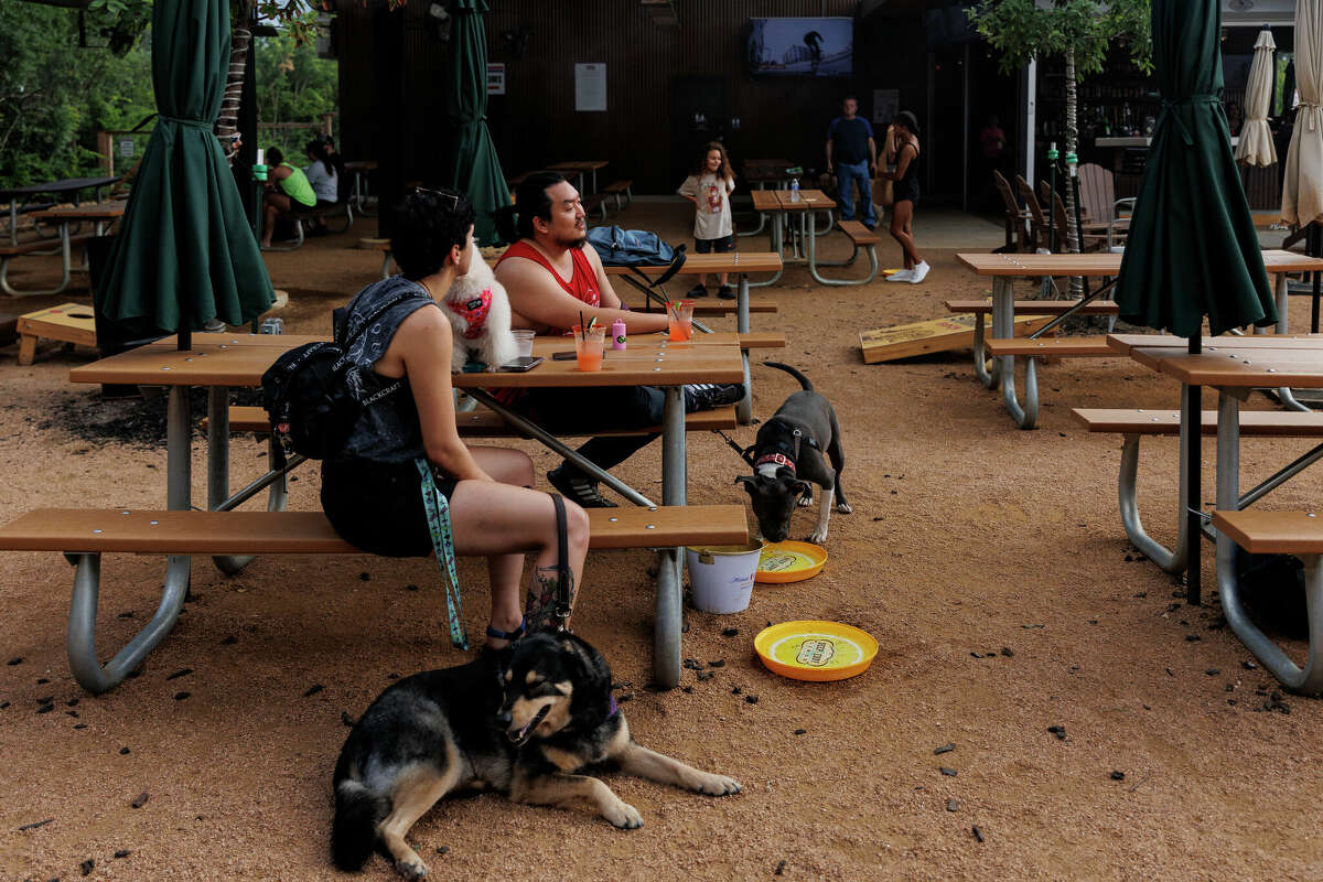 Texas Dog Co designed with humans, pets in mind