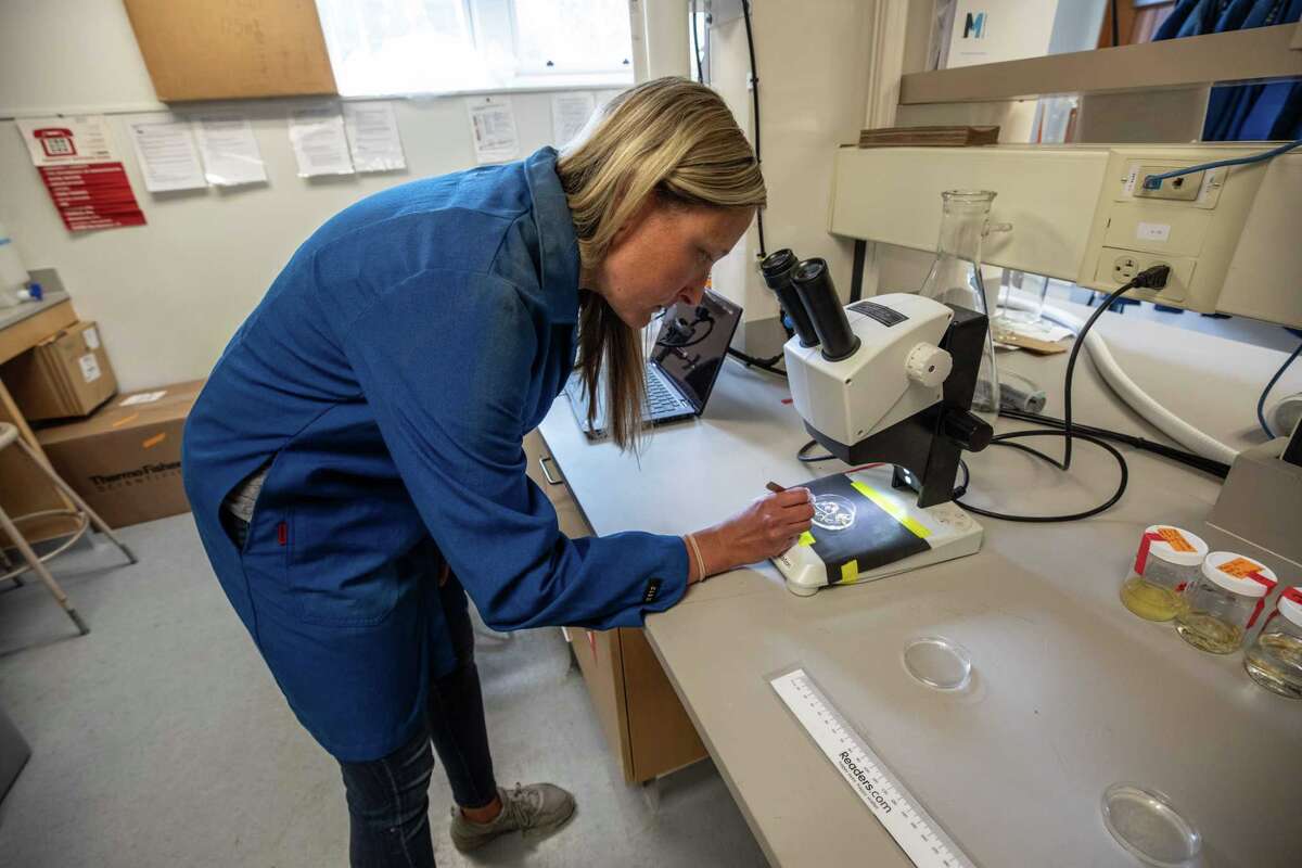 Can California’s Lake Tahoe maintain its crystal-clear water?