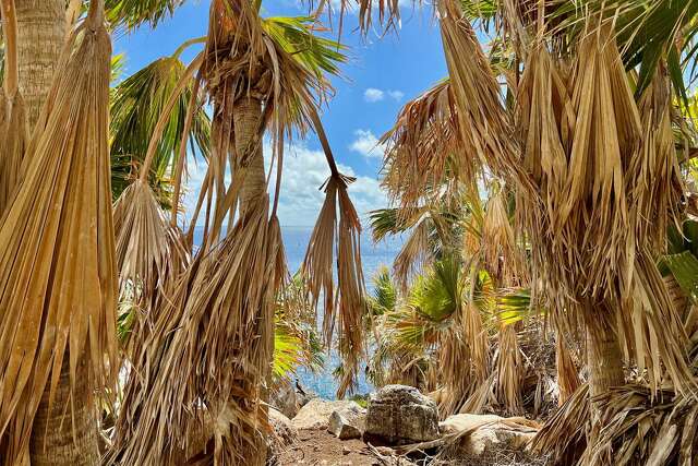 People on the Hawaii island of Nihoa ‘disappeared.’ Here’s why.