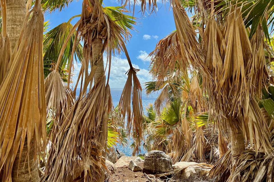 People on the Hawaii island of Nihoa ‘disappeared.’ Here’s why.