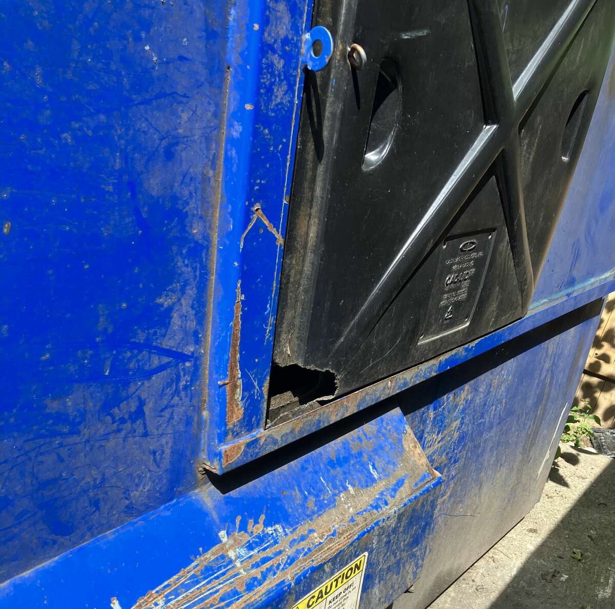 Rats enter some CT suburbs after pandemic shifts their habitats