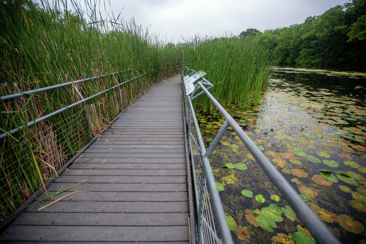 Great Springs Project: San Antonio to Austin trail moves ahead