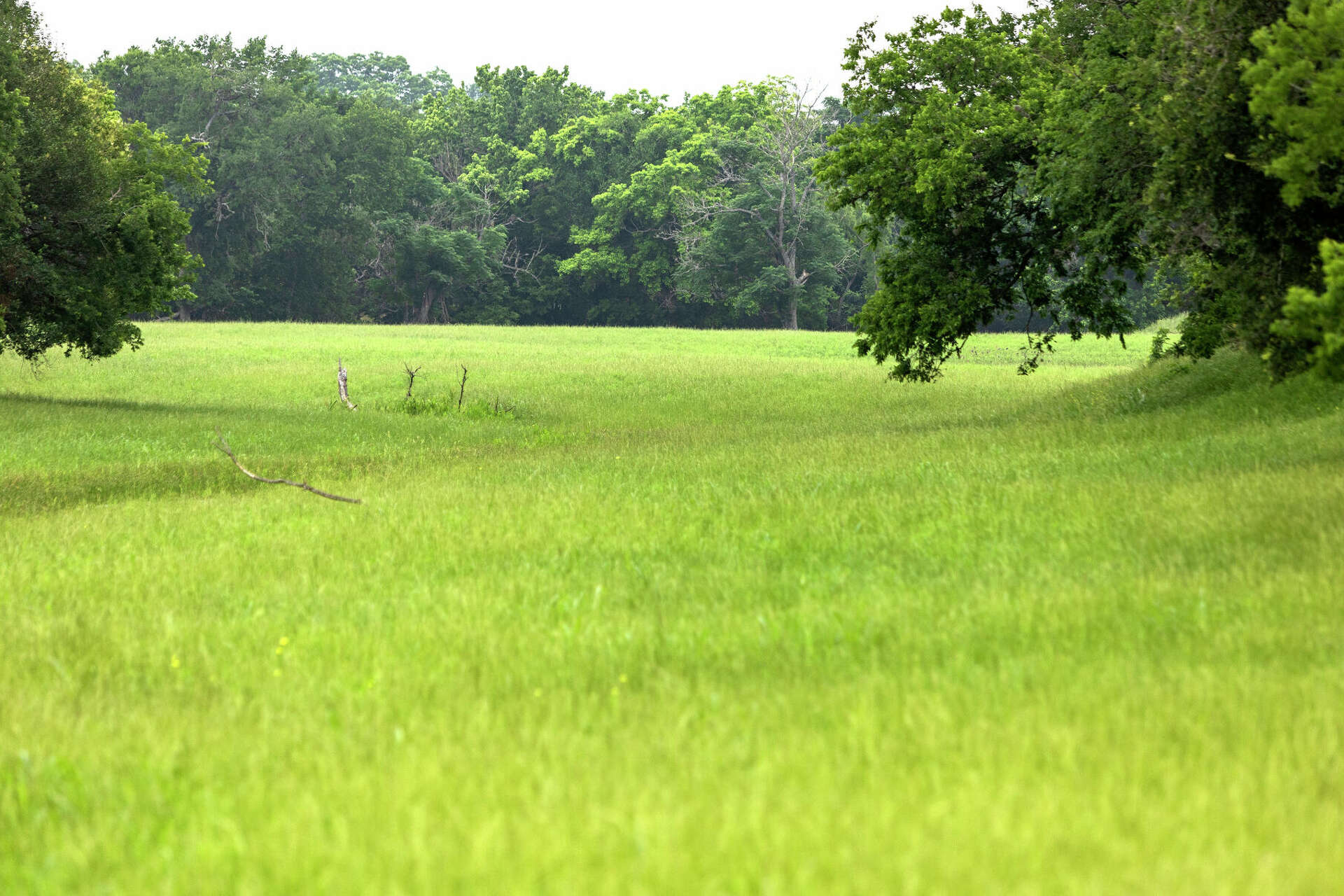 Great Springs Project: San Antonio to Austin trail moves ahead