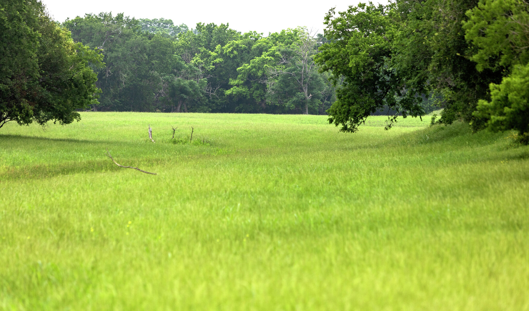 NOAA spring weather outlook is here. What can South Texas expect?