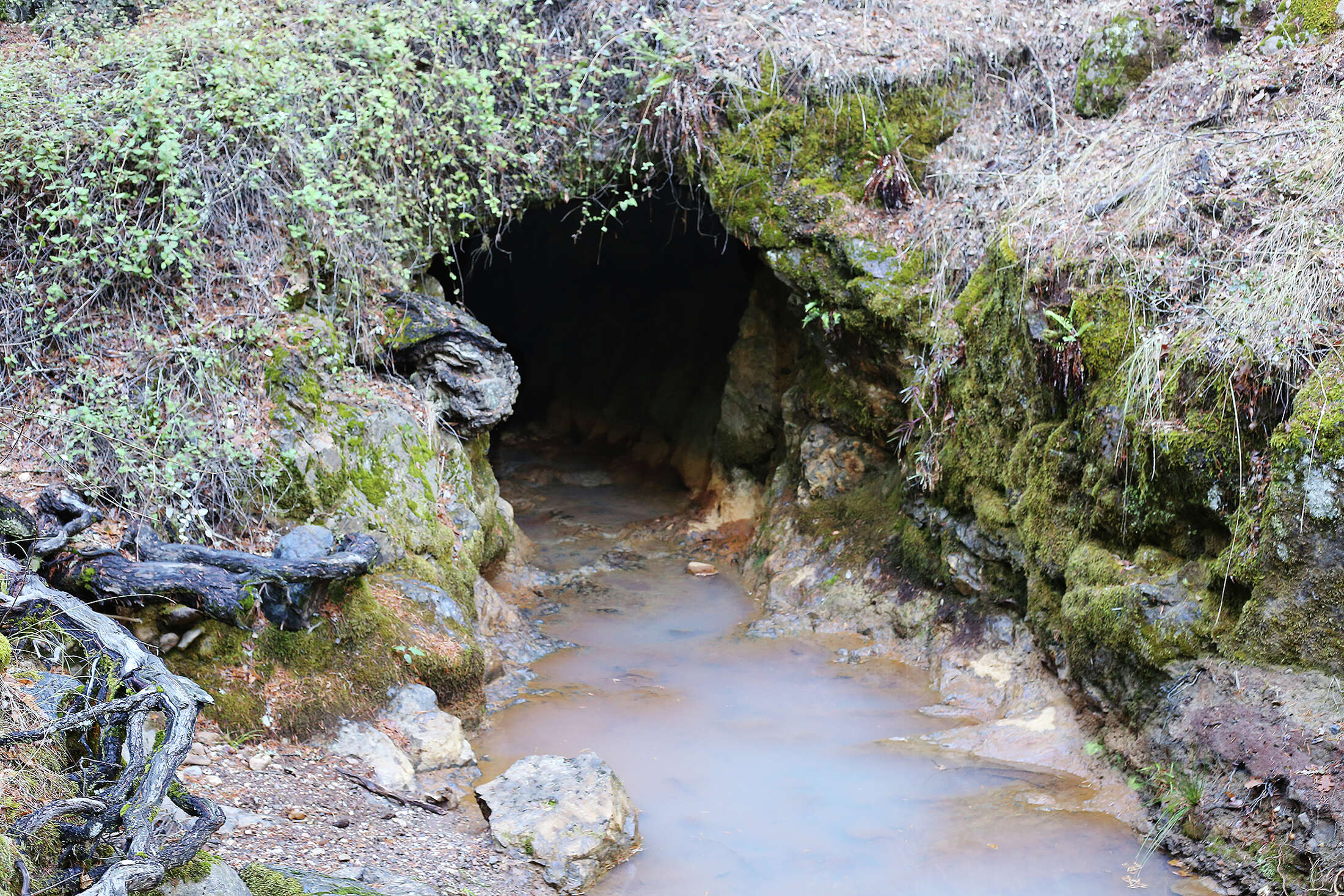 Underground hike leads to deserted Calif. gold mine — with gold left