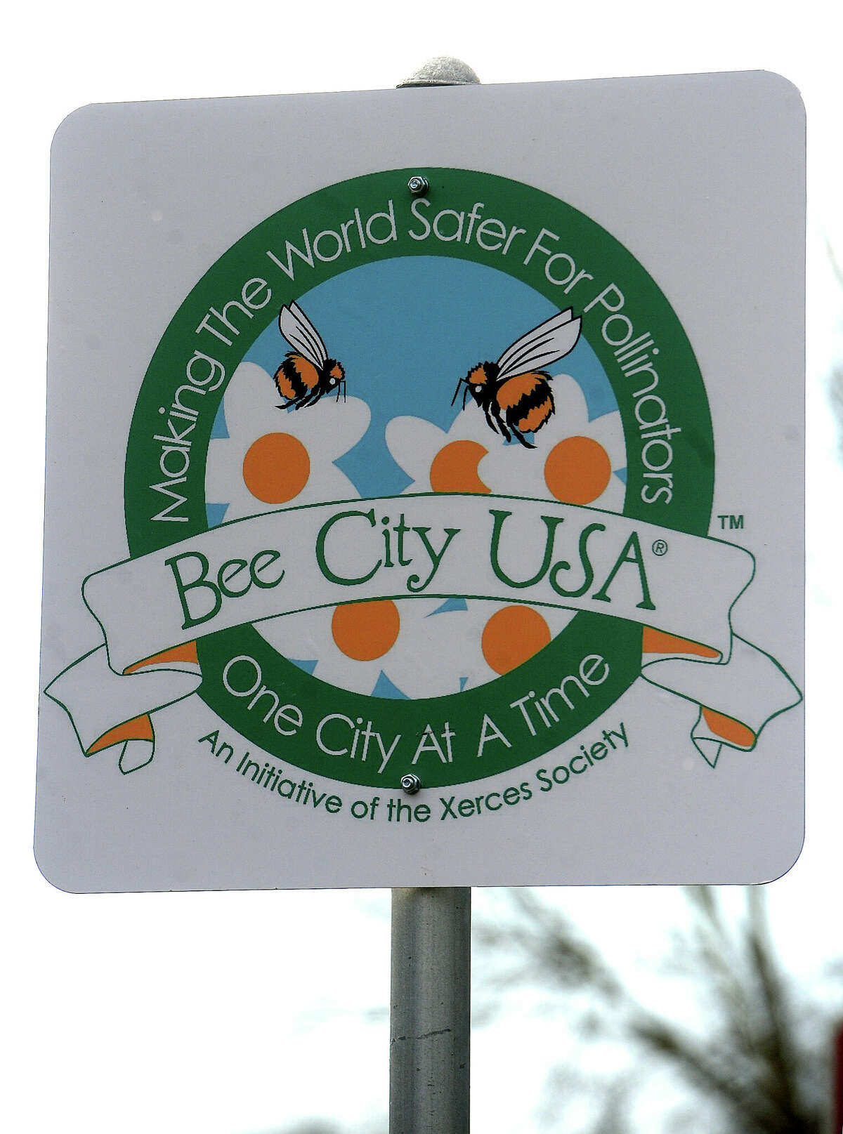 New Milford becomes CT's first certified Bee City USA affiliate