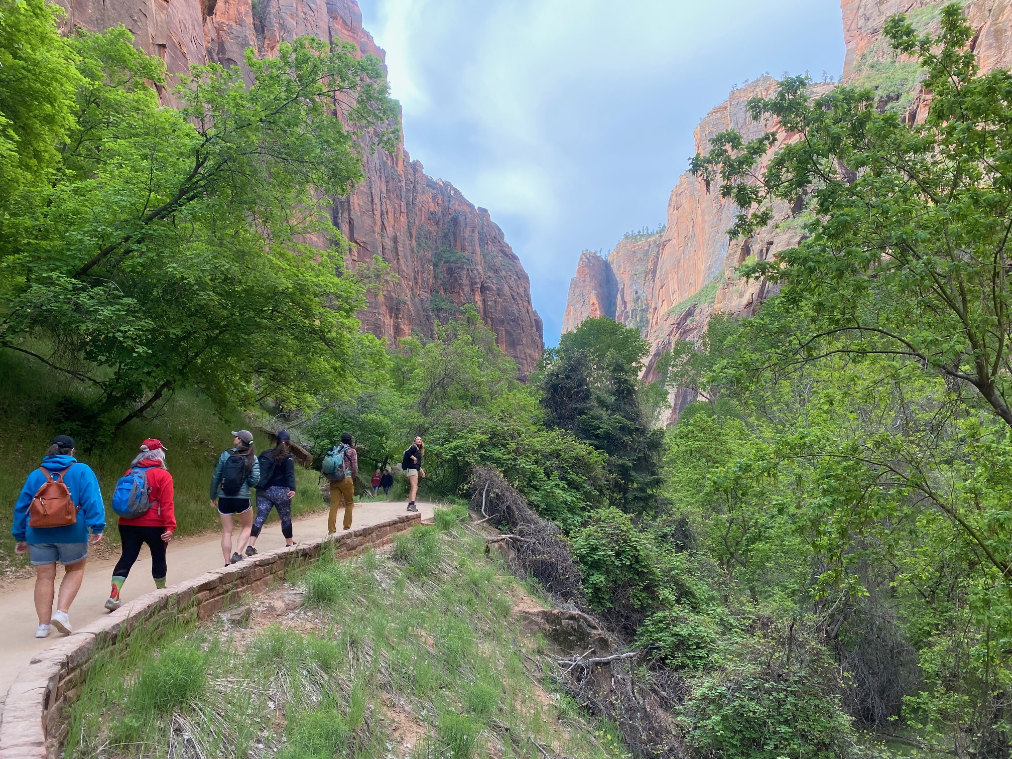 Discover Zion National Park, Utah's must-visit natural wonder