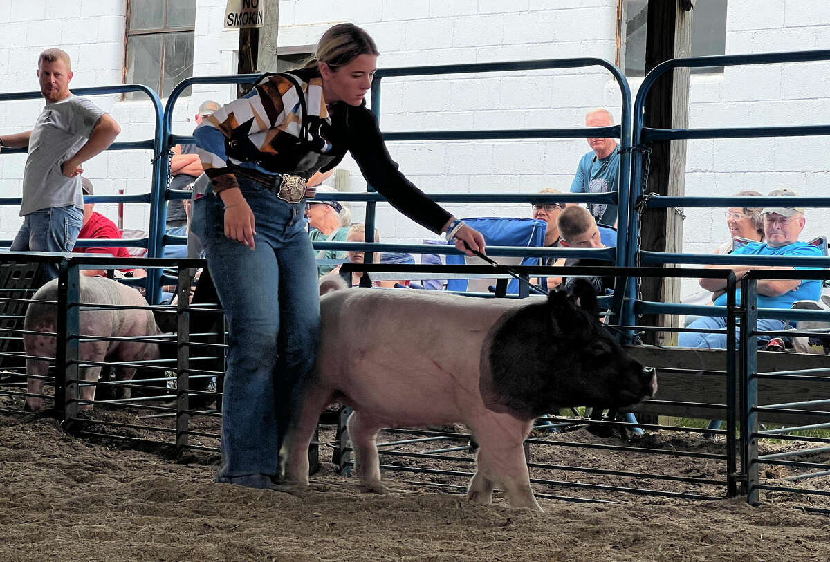 Swine Show begins second day of Mecosta County Fair in Big Rapids