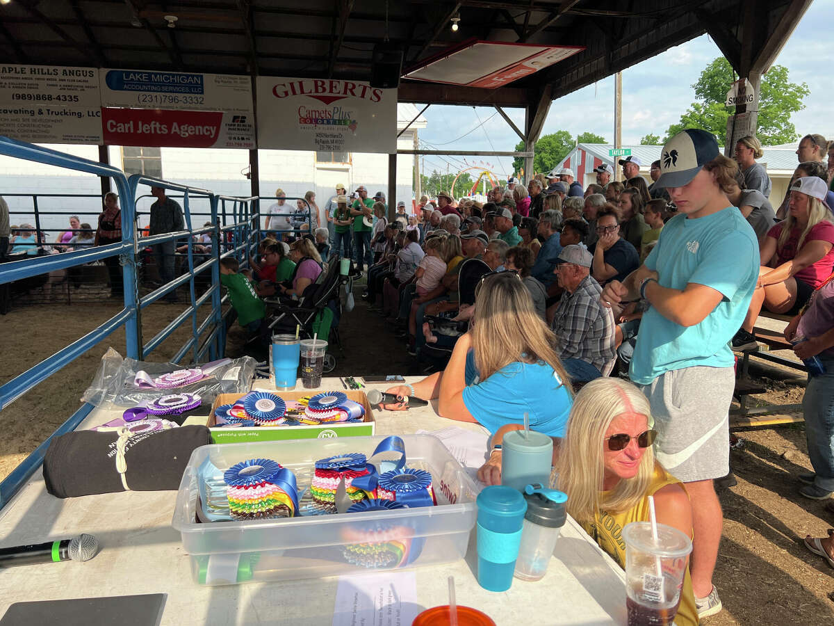 Swine Show begins second day of Mecosta County Fair in Big Rapids