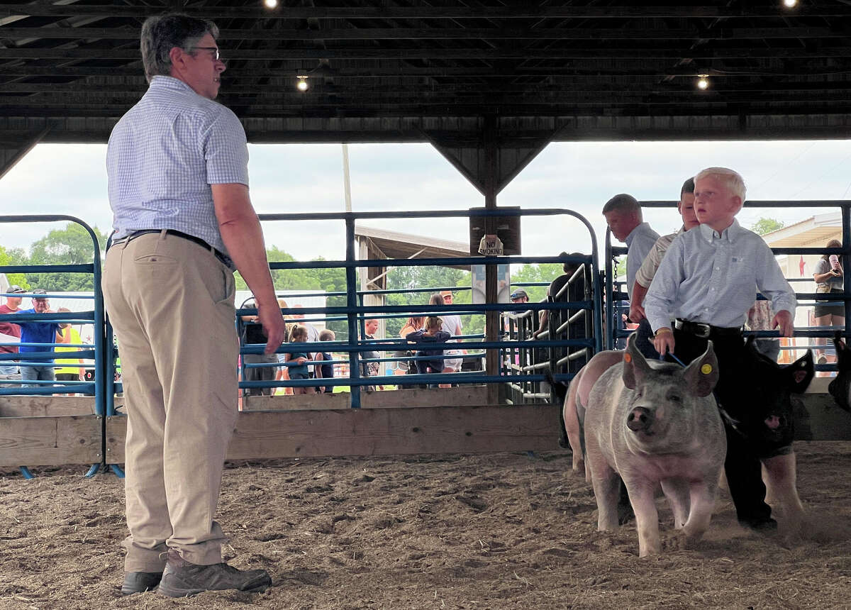 Swine Show begins second day of Mecosta County Fair in Big Rapids