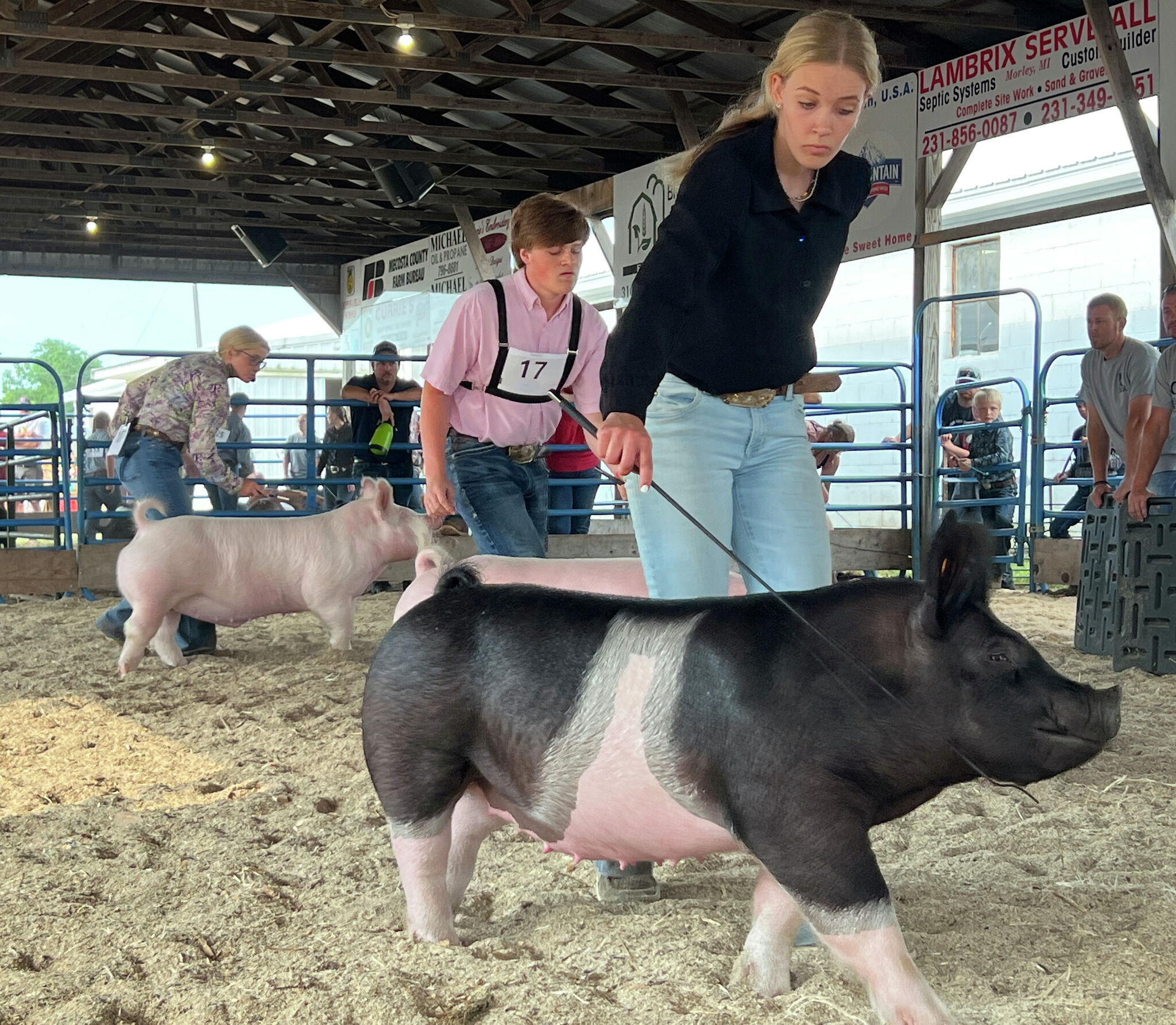 Swine Show begins second day of Mecosta County Fair in Big Rapids