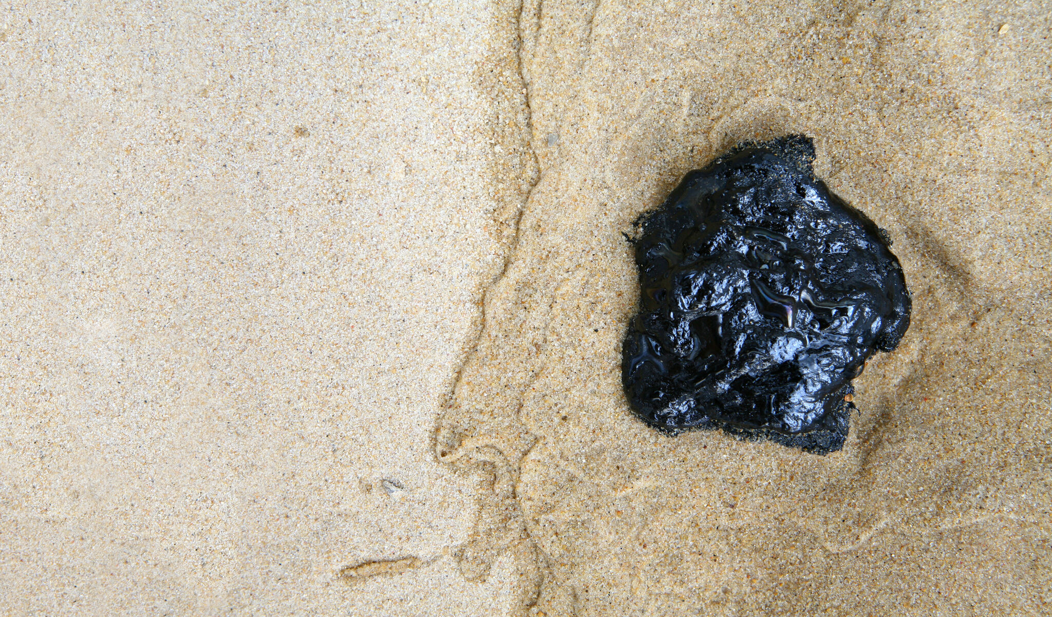 Tar balls from oil spills are washing up on Galveston shores