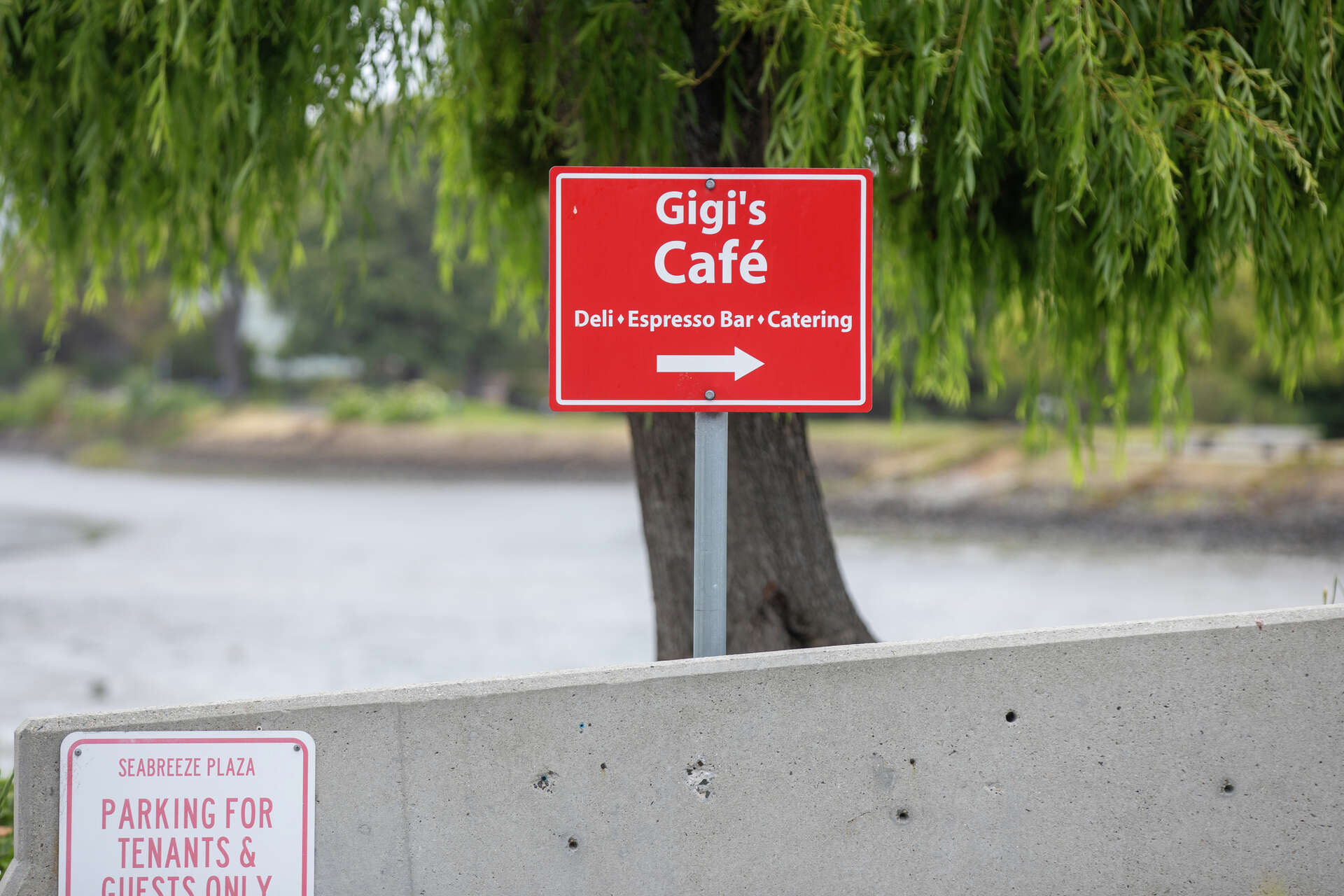 The hidden Bay Area cafe with award-winning sandwiches