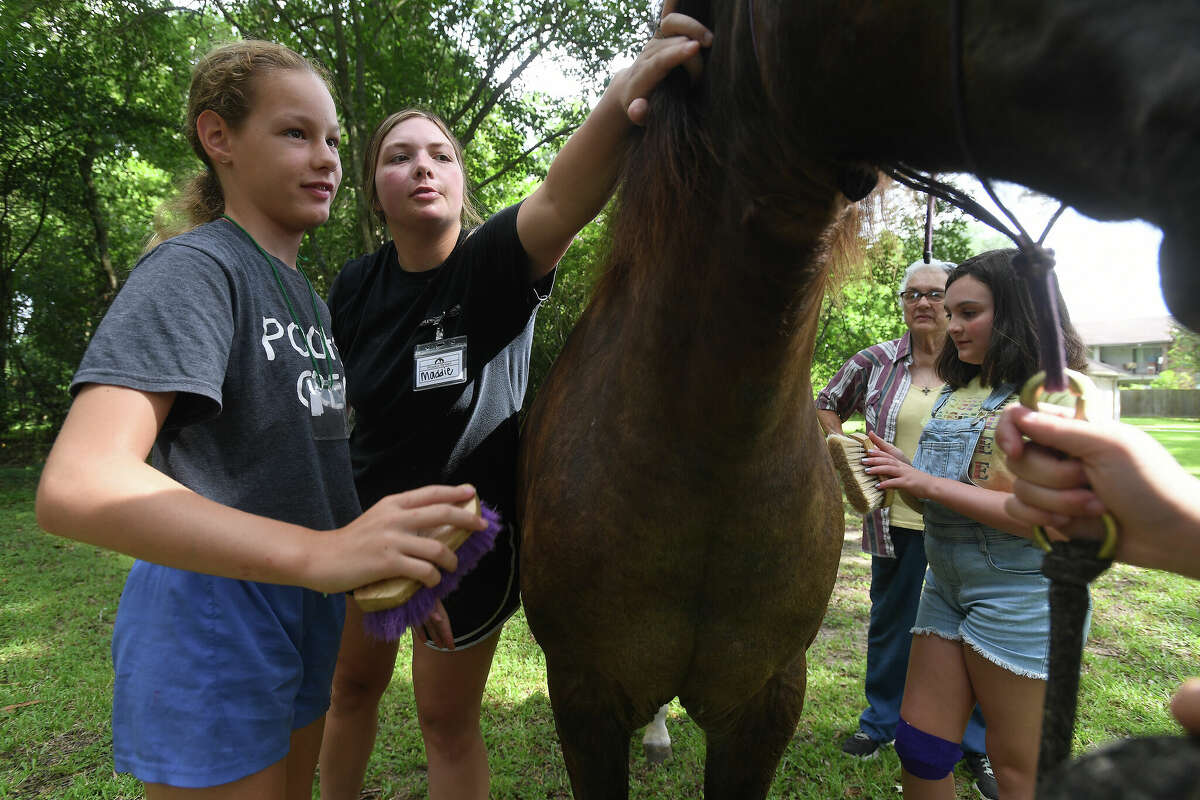 Camp Lookinback shows life in the 1800s at historic French House
