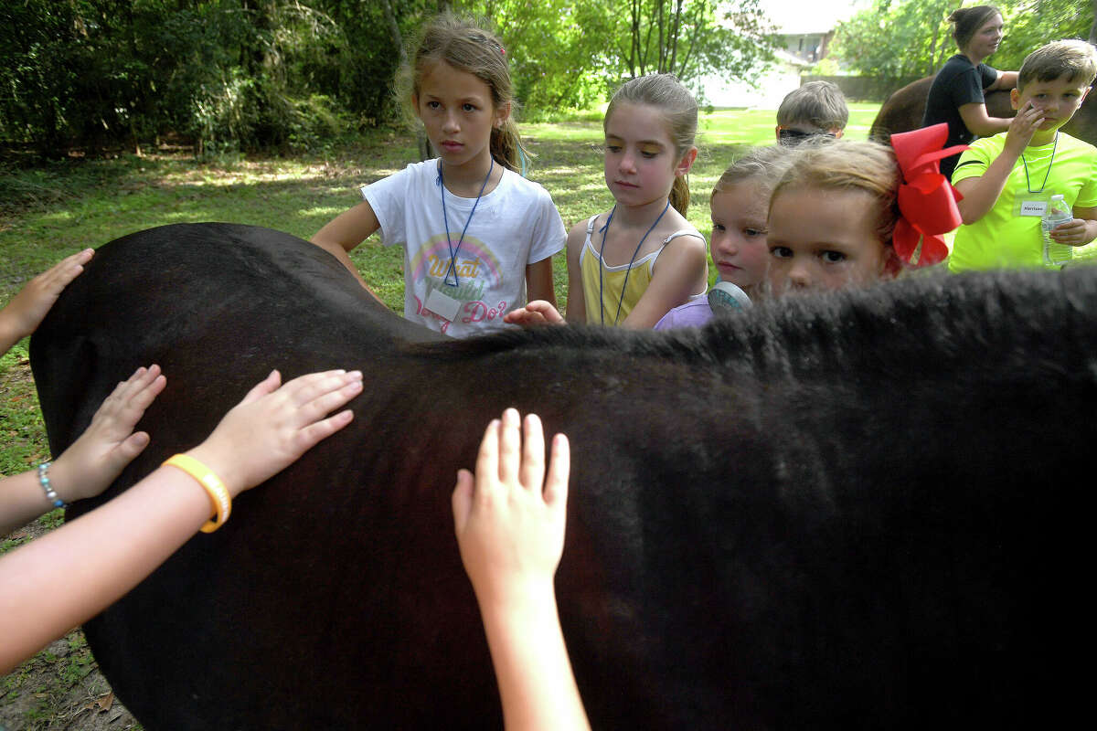 Camp Lookinback shows life in the 1800s at historic French House