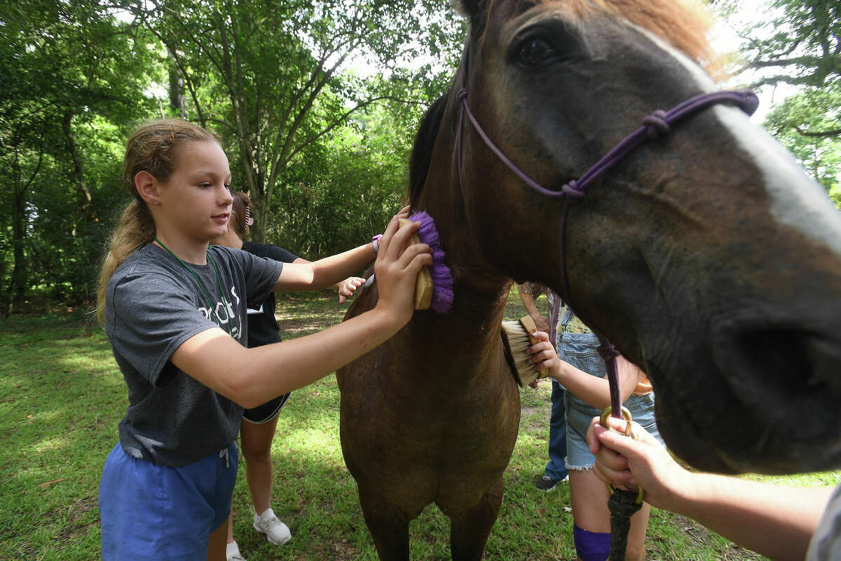 Camp Lookinback shows life in the 1800s at historic French House