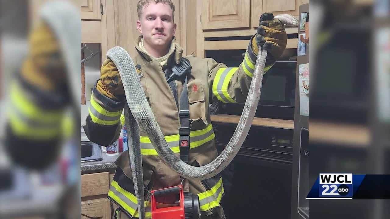 Massive snake to blame for fire at Georgia home, firefighters say