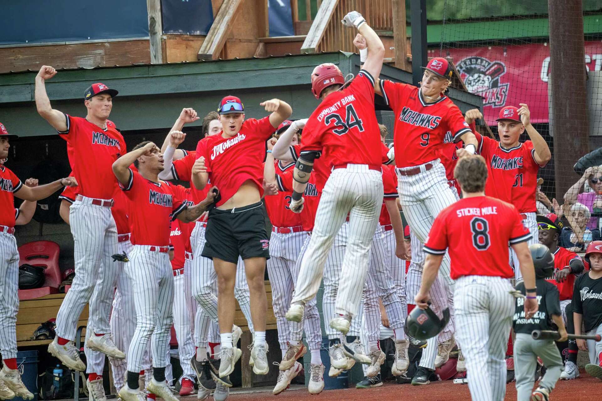 Amsterdam Mohawks have built a summer baseball dynasty