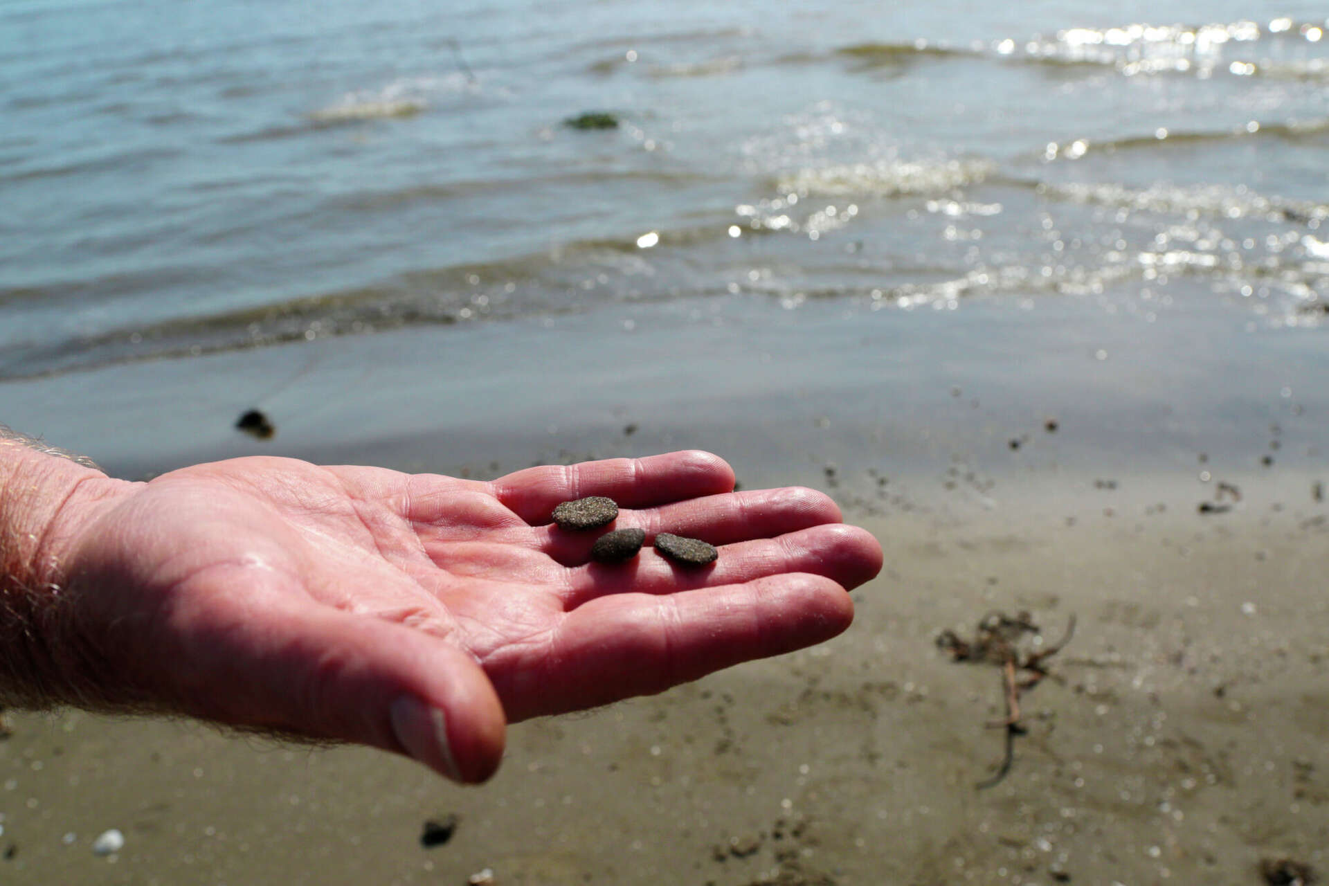 Why oily 'tar balls' are washing up on Texas beaches