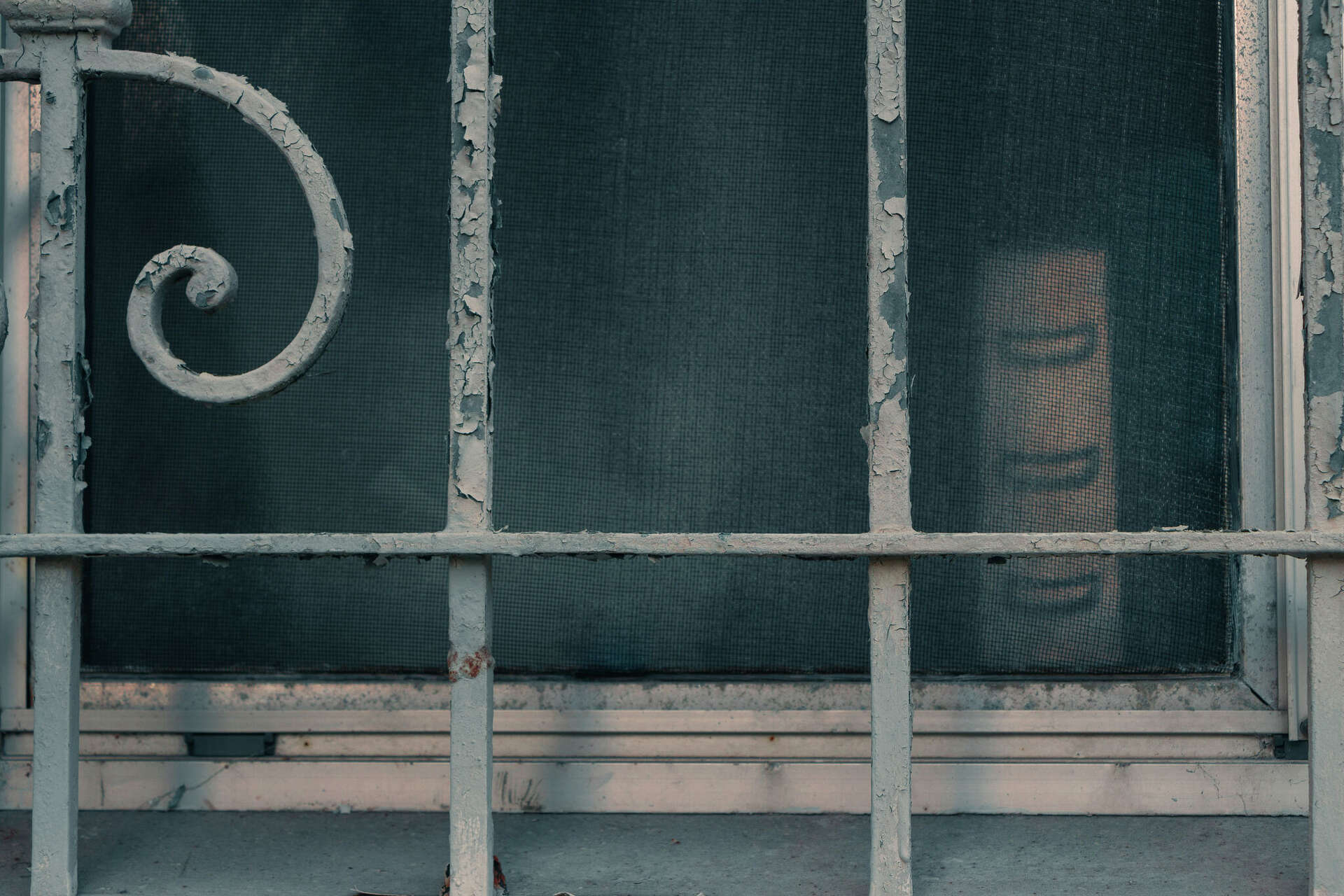 The most clandestine house in SF is this mansion on Green Street