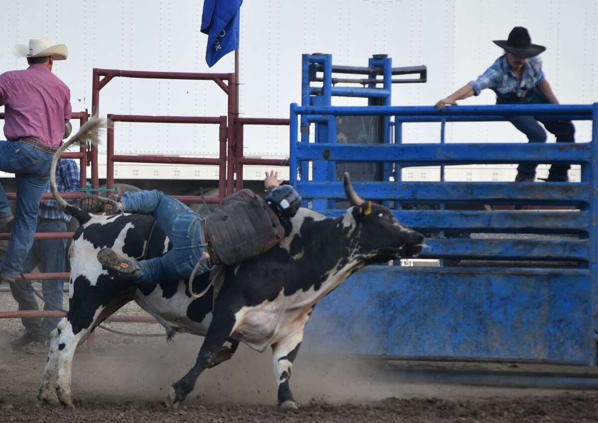 Morgan County Fair Bulls & Broncs Rodeo