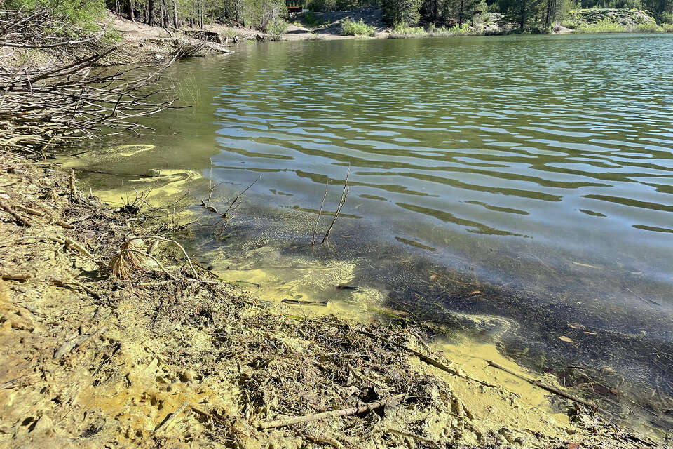 'Remarkable' amount of pollen is turning Lake Tahoe yellow
