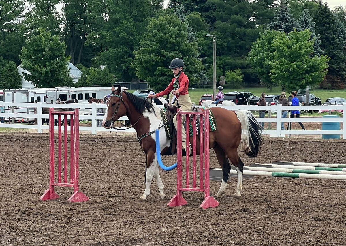 Mecosta County Free Fair in Big Rapids starts day four with horse show