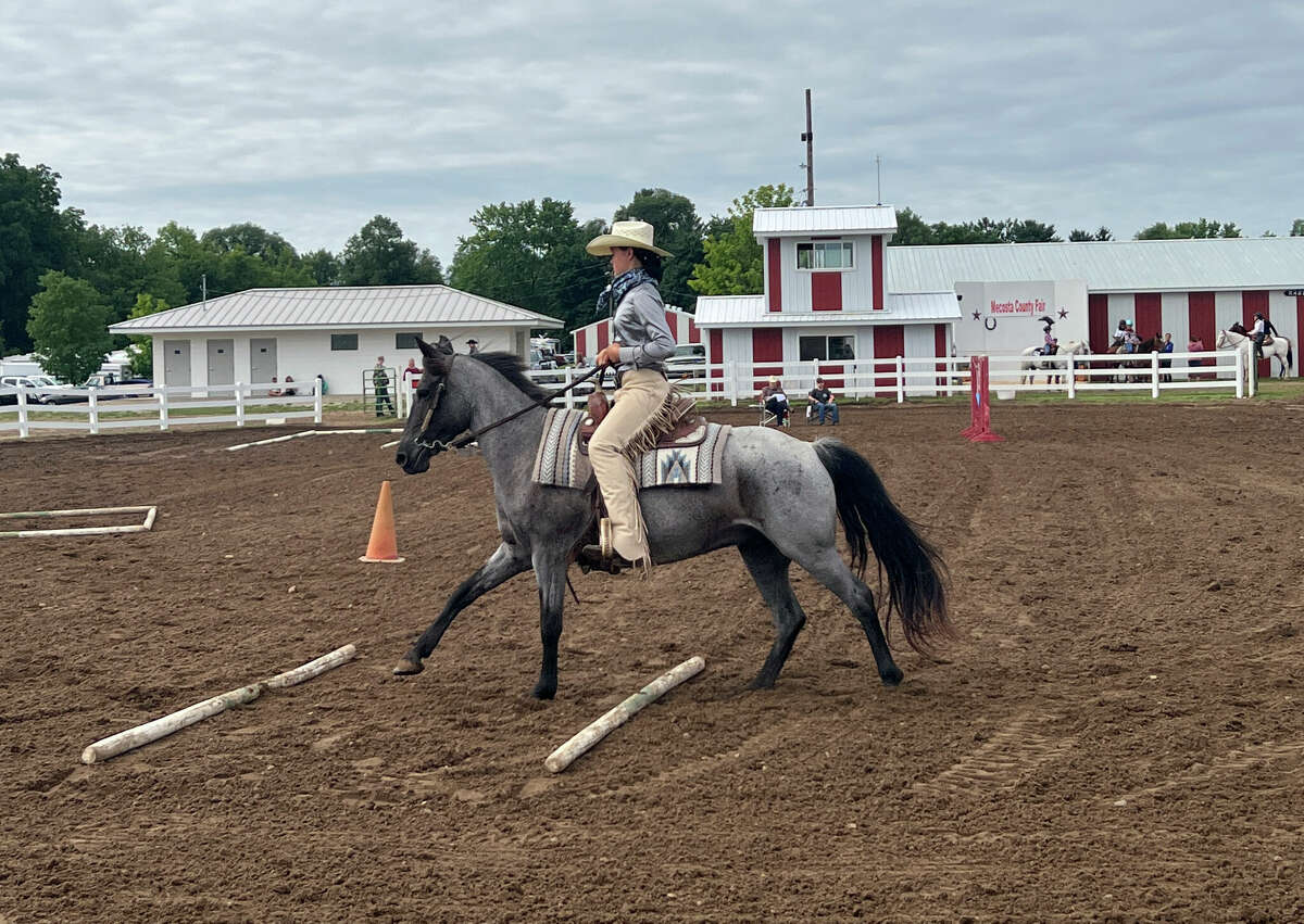 Mecosta County Free Fair in Big Rapids starts day four with horse show