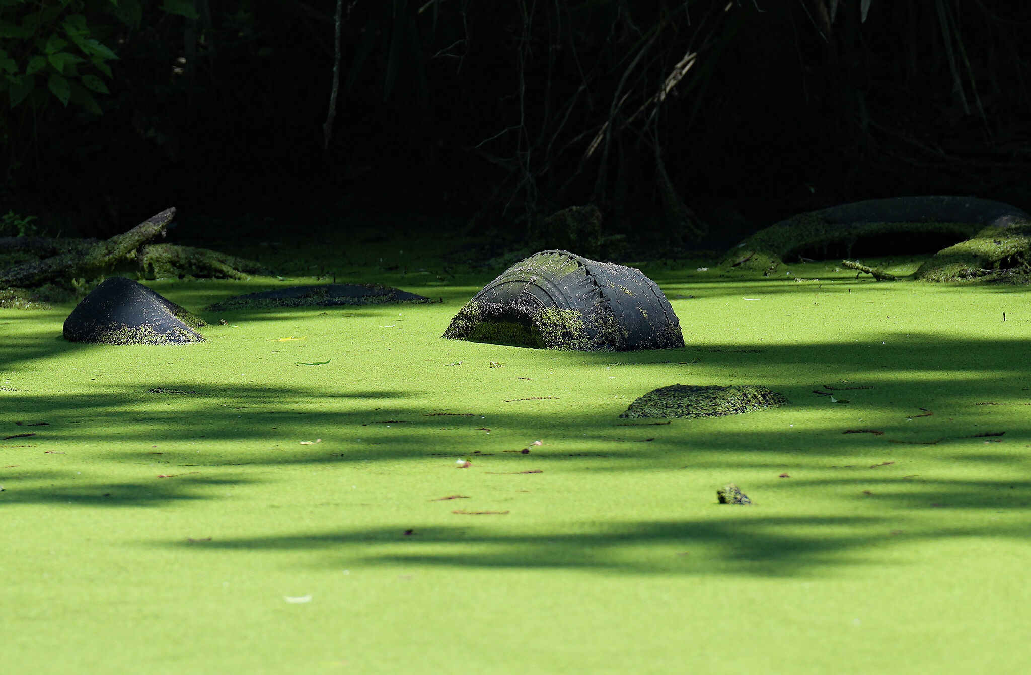 How Texas Zombie Wells Could Cause Problems In Climate Change Fight