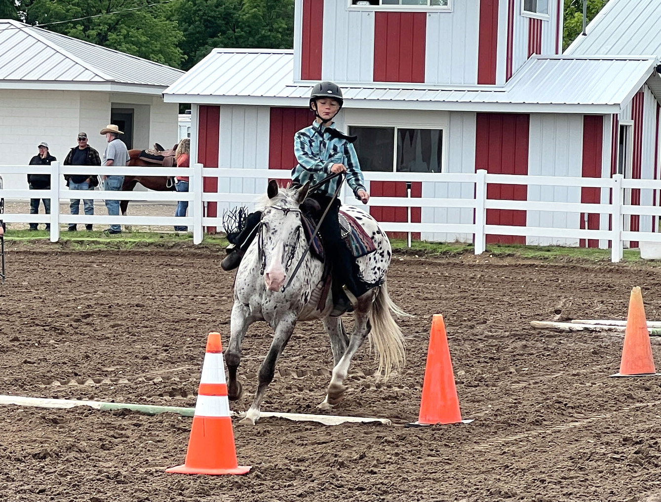 Mecosta County Free Fair in Big Rapids starts day four with horse show