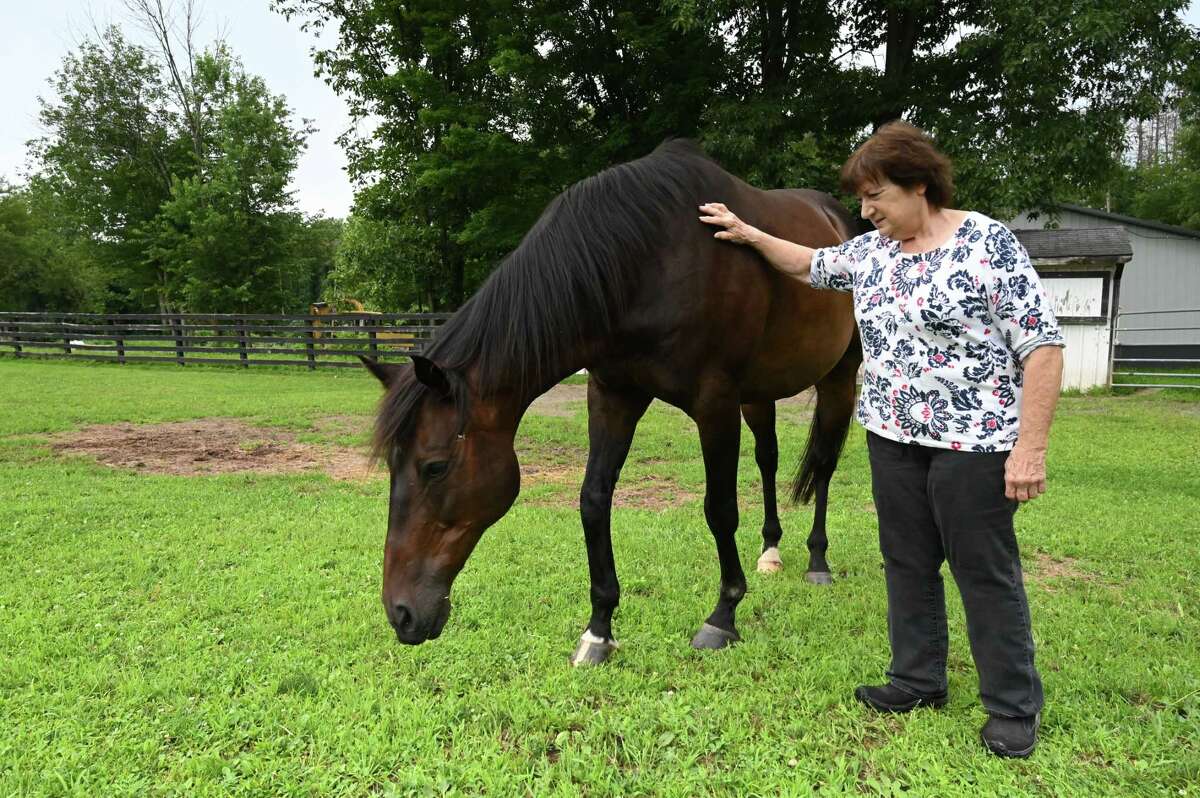 An Albany lobbyist who rides horses has become their fierce advocate