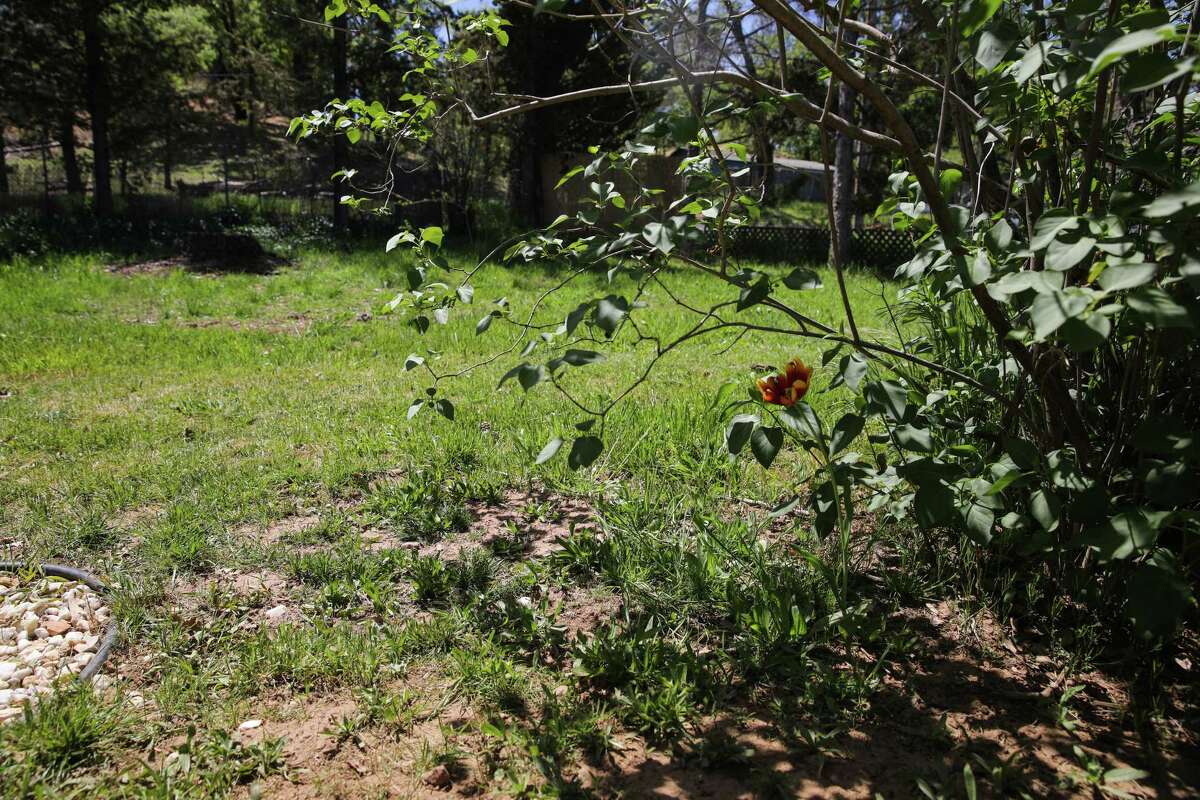 Parents of man with schizophrenia say police abandoned him to die