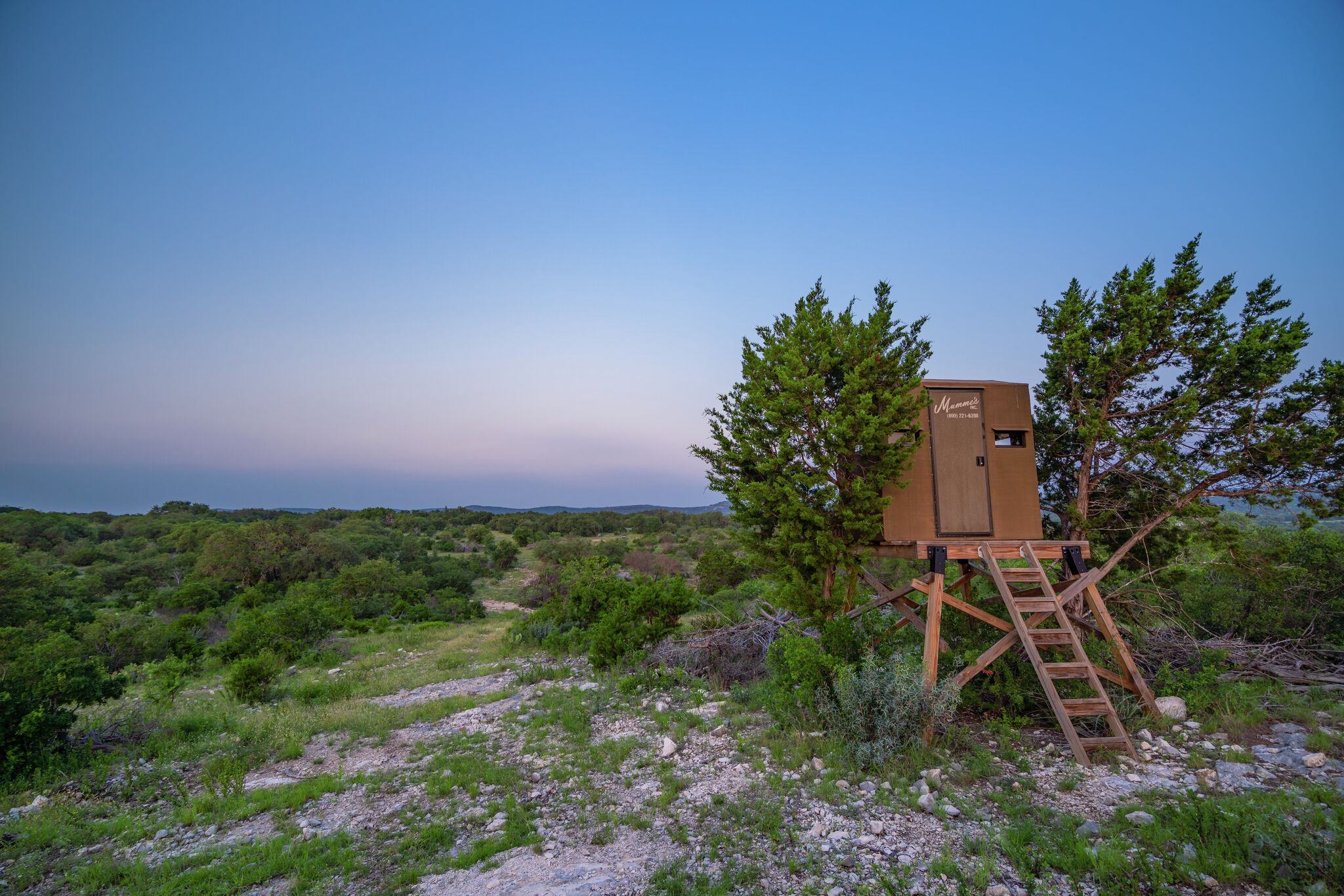 Sprawling Texas cattle ranch and hunting spread hits market
