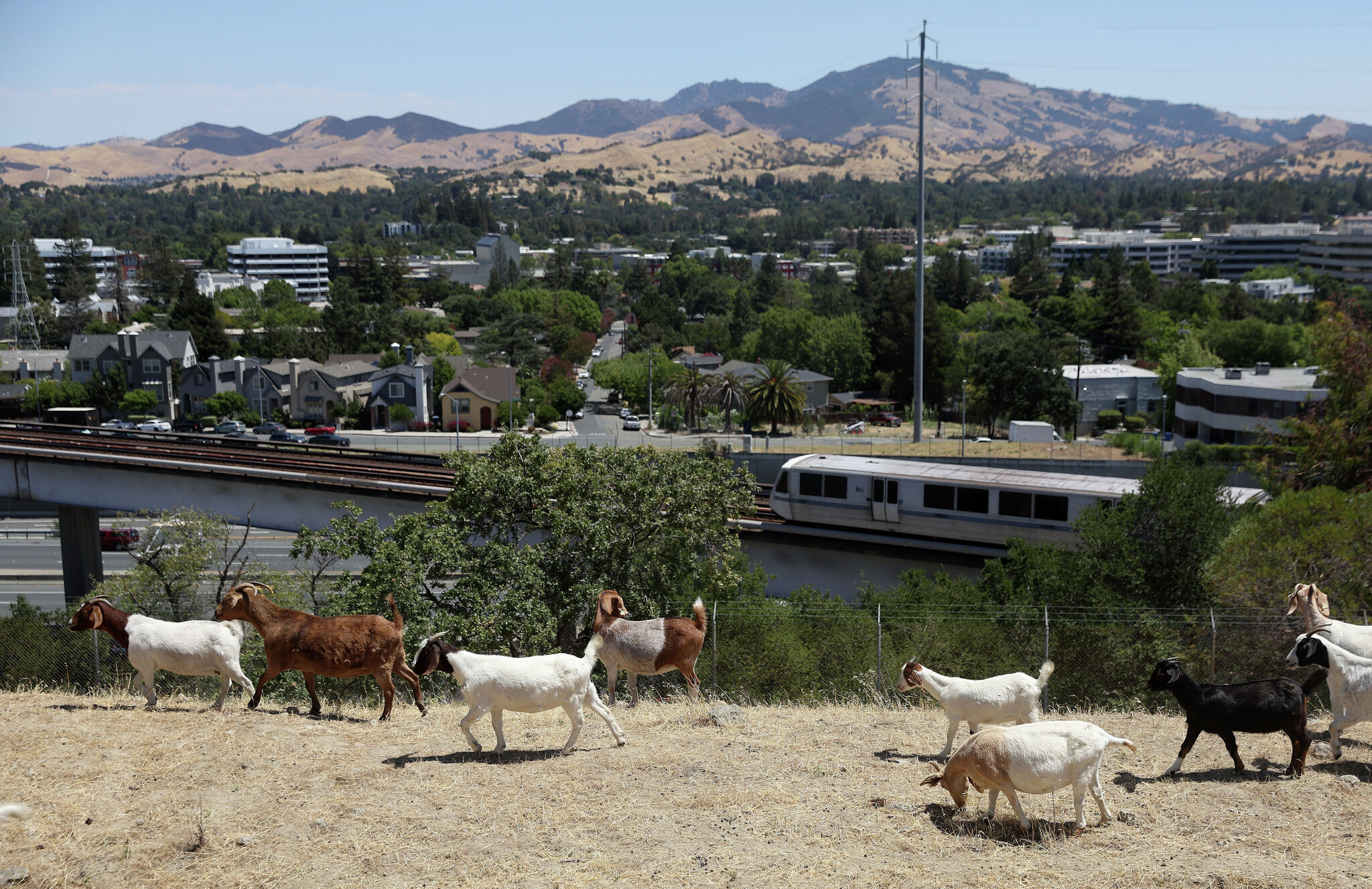 'Deadly' heat envelops California: Here's where it will be the hottest
