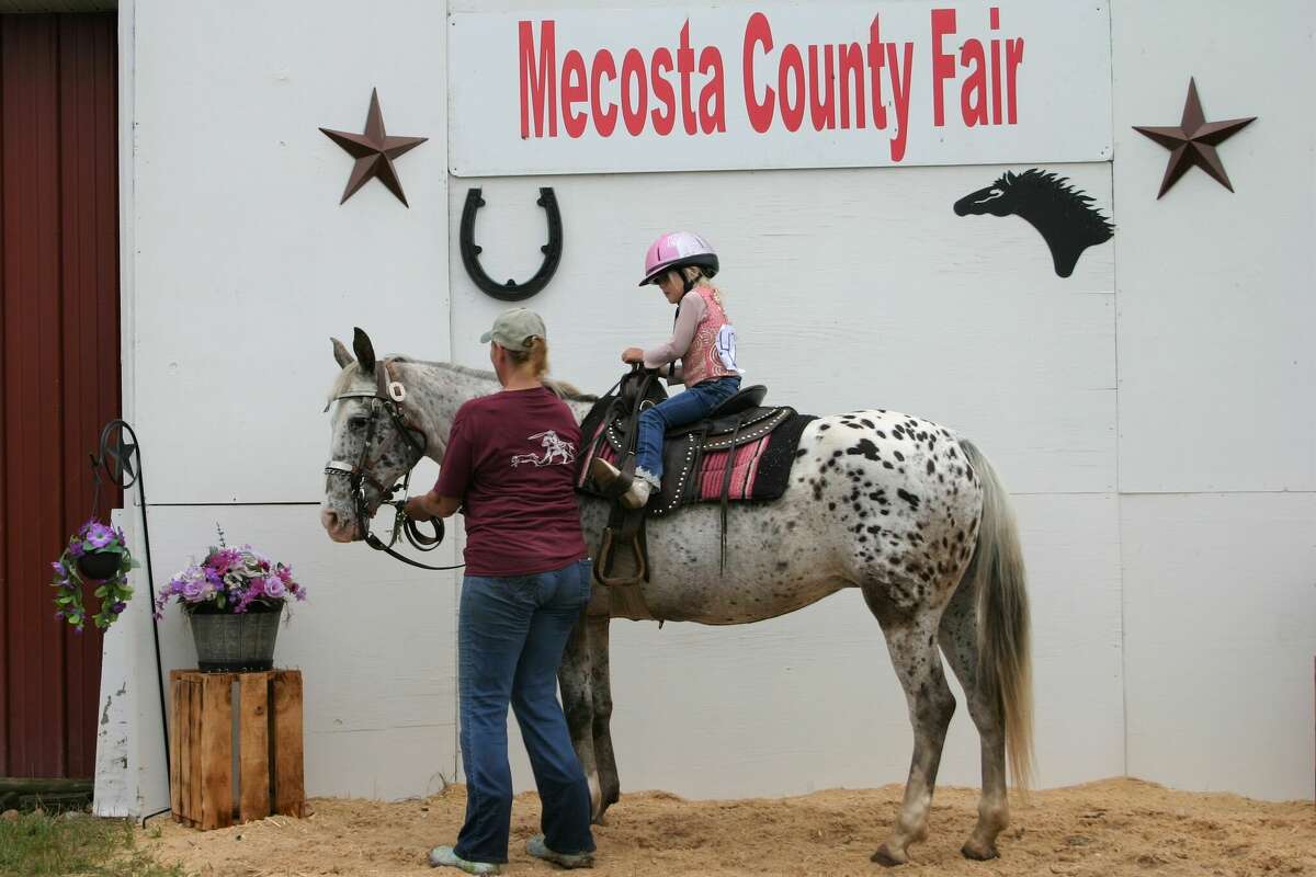 Cloverbud and Peewee horse show in final day of Mecosta County Fair