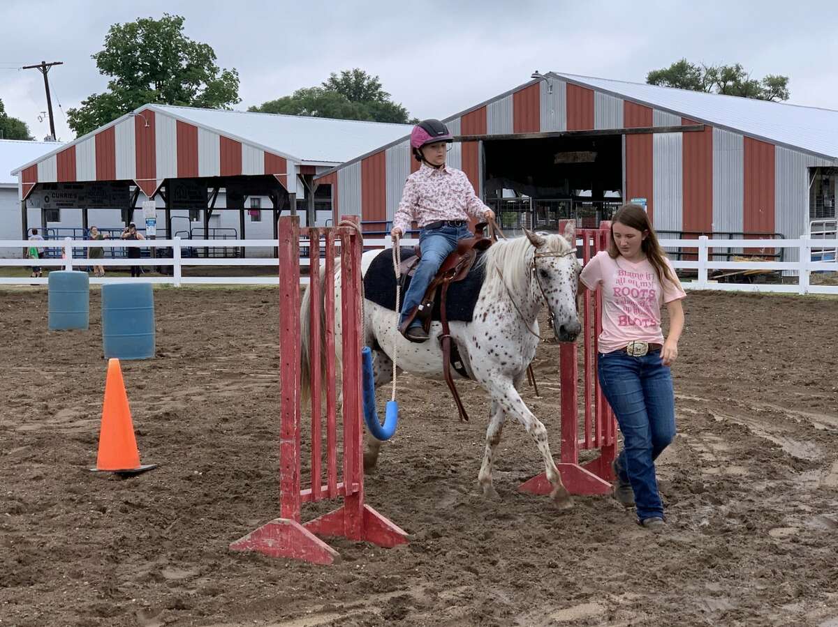 Cloverbud and Peewee horse show in final day of Mecosta County Fair