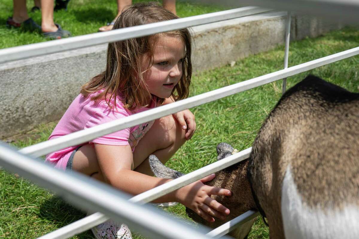 Photos: MVP Kids Day at West Capitol Park
