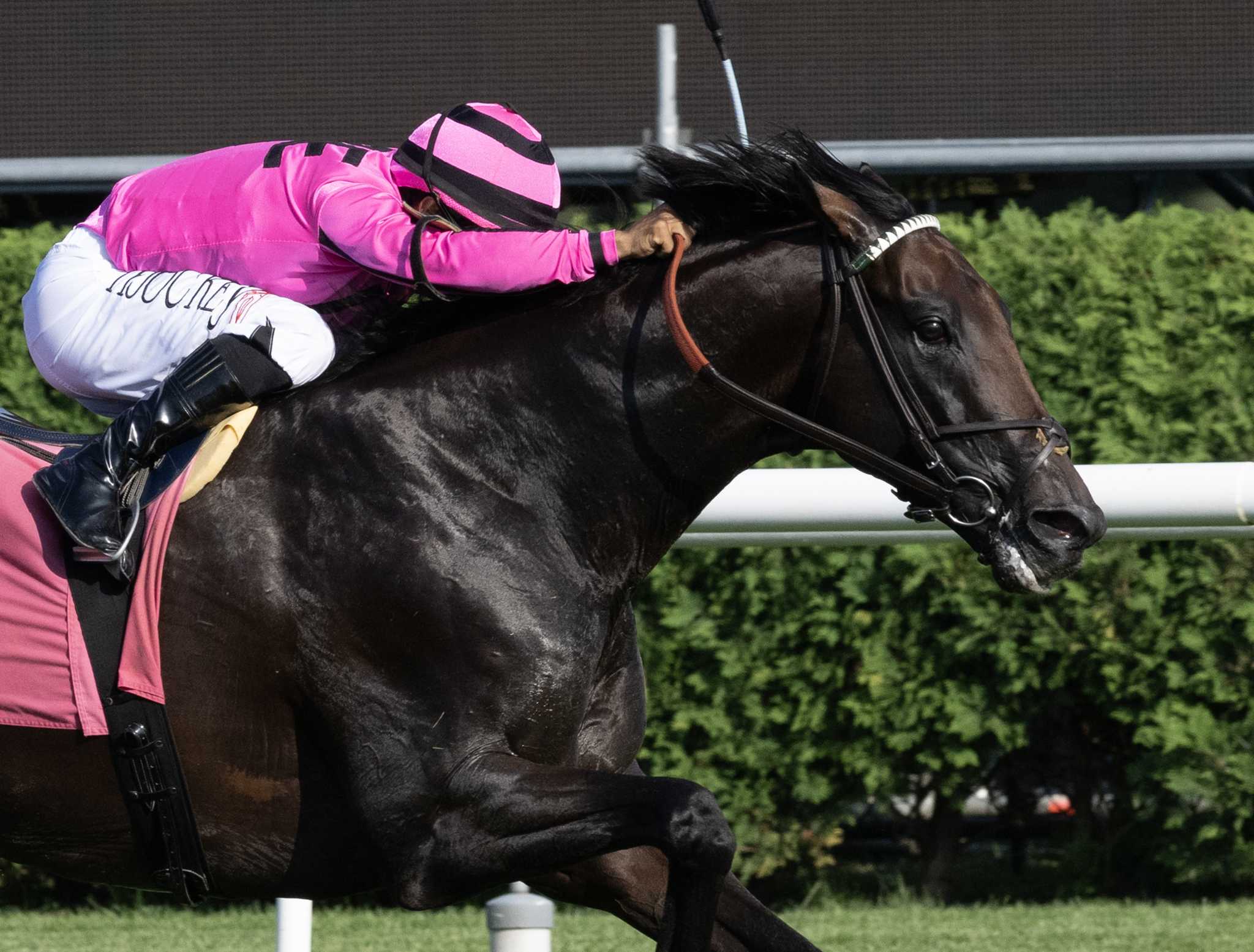 Casa Creed, Yo Yo Candy win late stakes races at Saratoga