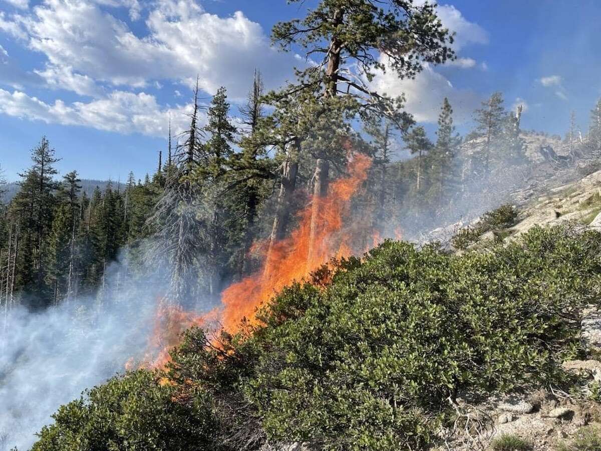 Pika Fire in Yosemite balloons to 650 acres, 0% containment