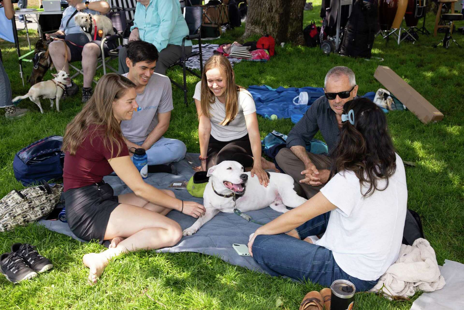 It’s a walk in the park for 3-legged dogs and 2-legged owners in SF