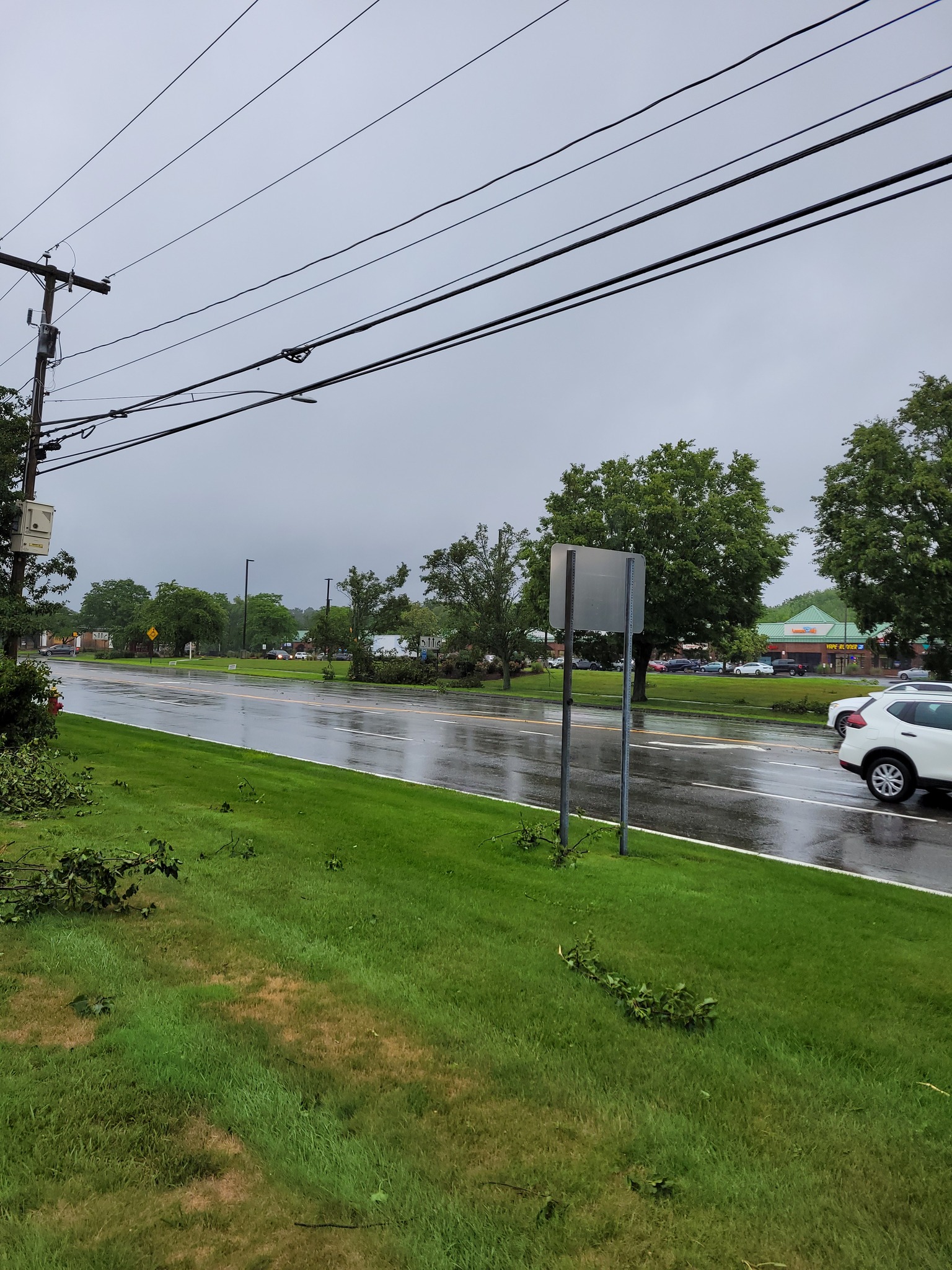 Officials: Microburst takes down trees in Wethersfield