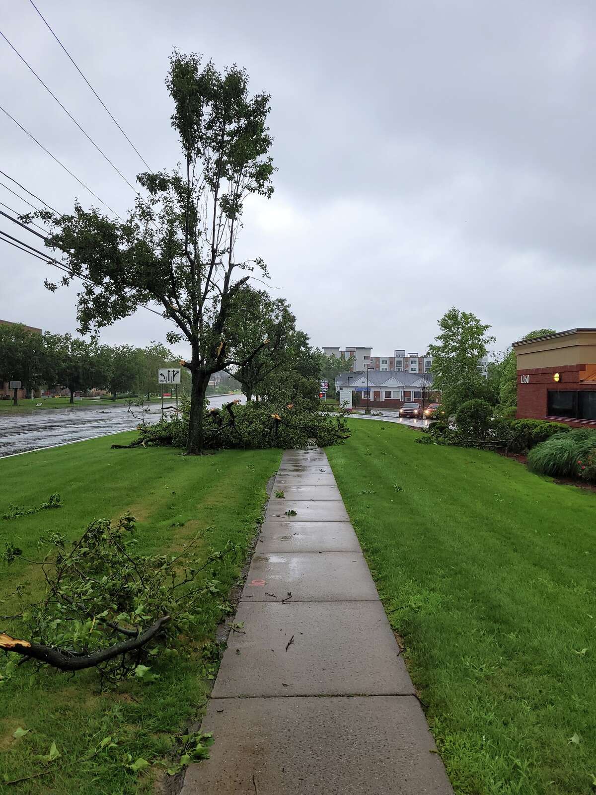 Officials: Microburst takes down trees in Wethersfield