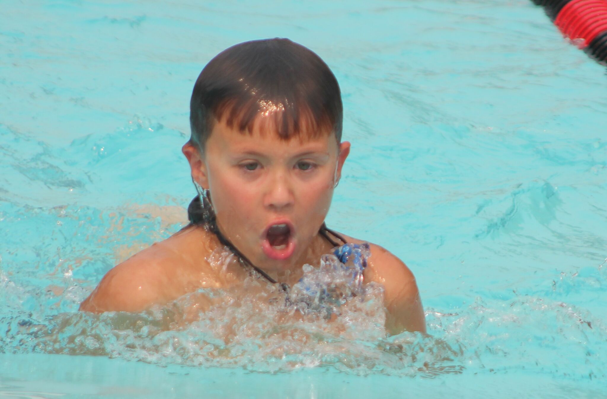 Montclaire beats the Collinsville Gators for SWiSA Swim championship