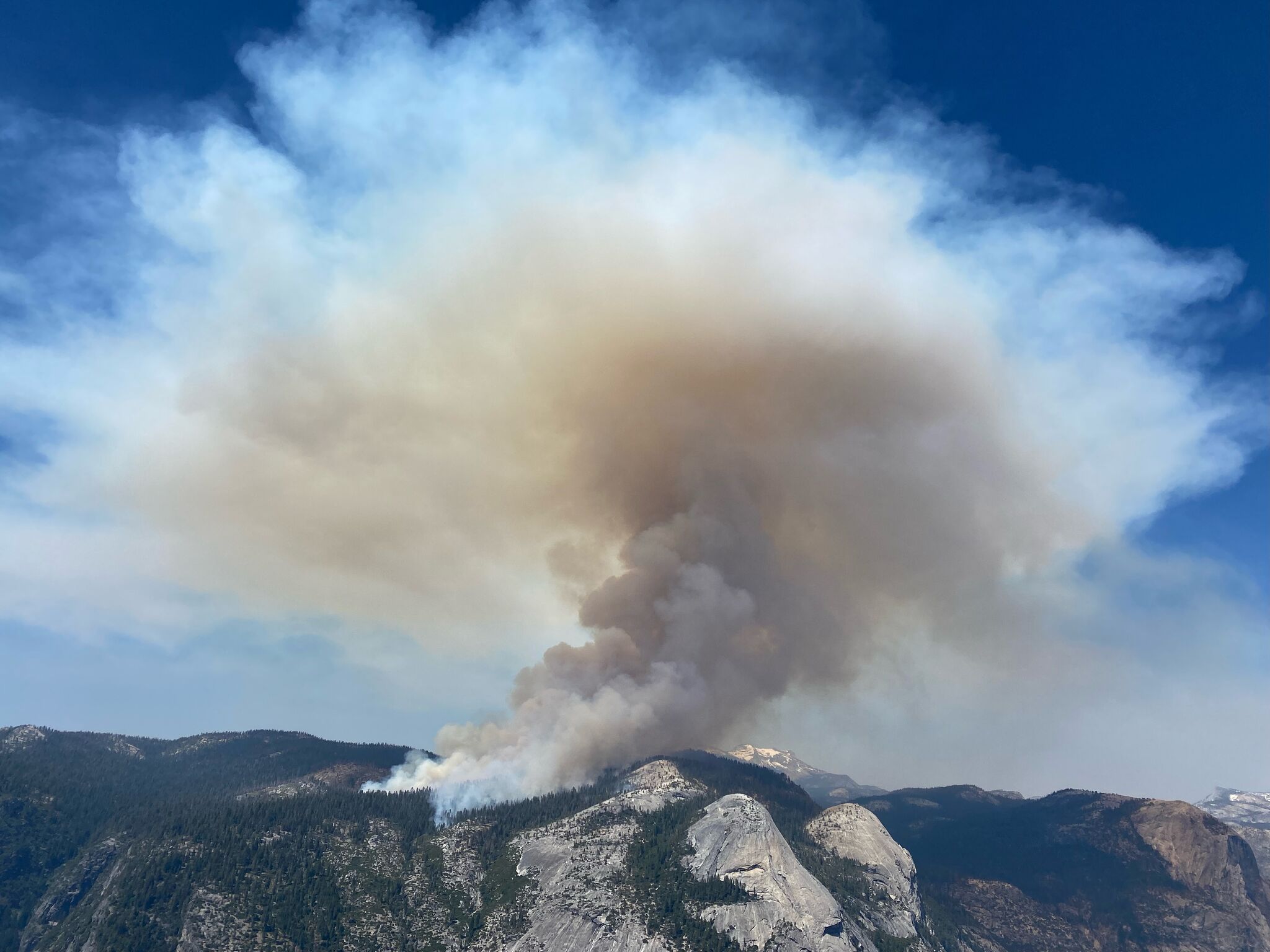 Pika Fire in Yosemite National Park balloons to 650 acres